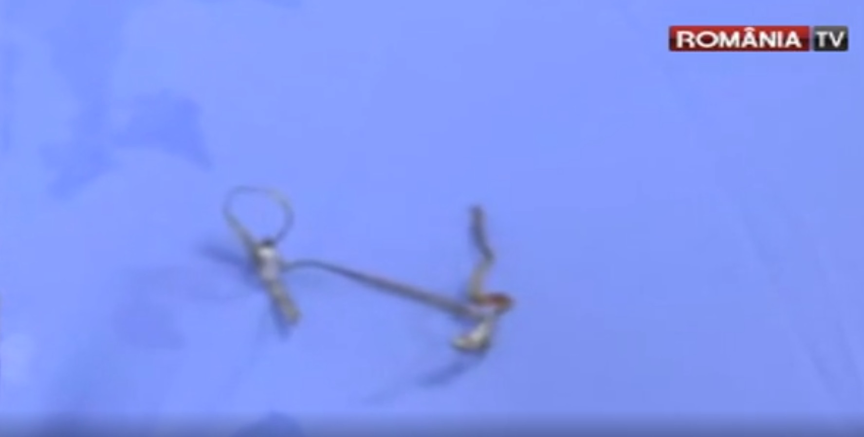 Incredibil ce a făcut Firea. Primarul a arătat sârma care i-a provocat ...