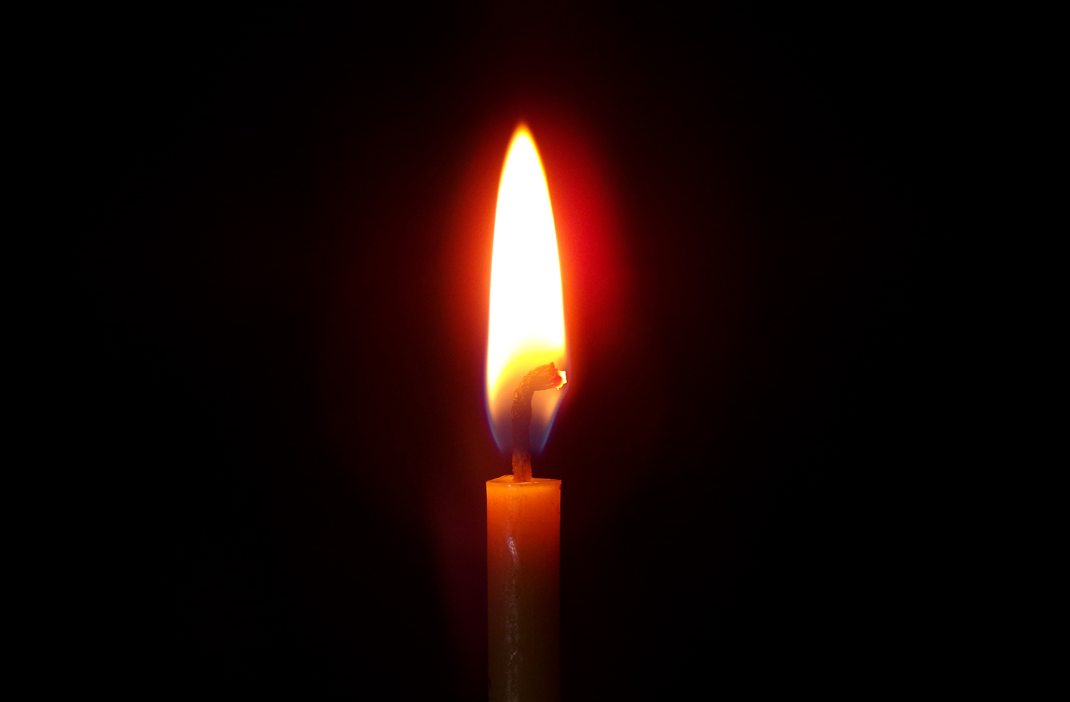 Doliu fără margini! A murit unul dintre cei mai mari medici din România ...