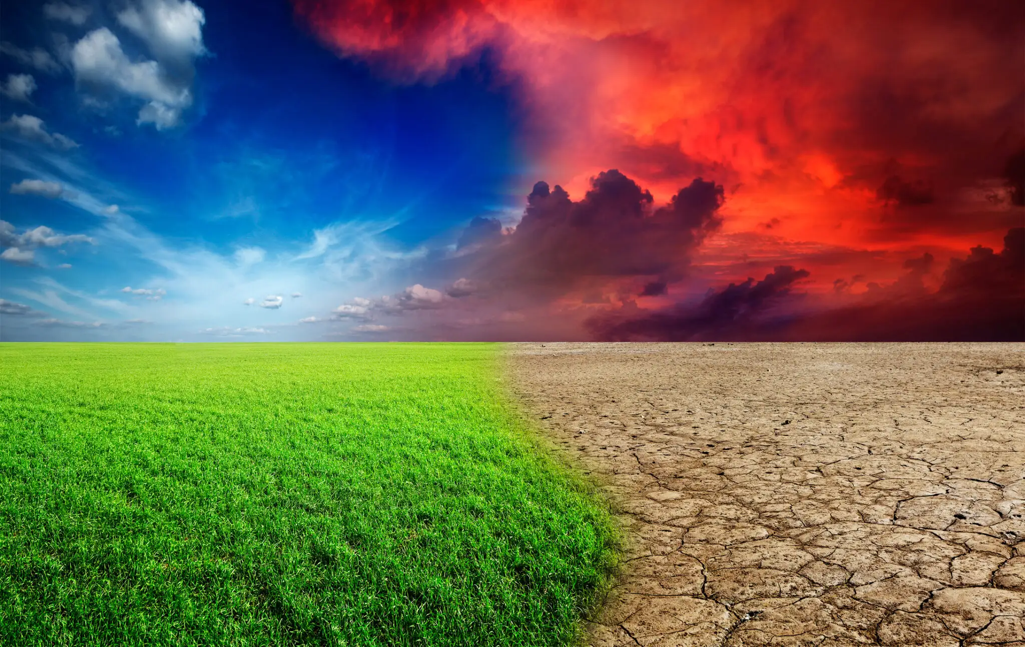 Schimbările climatice duc la explozia prețurile alimentelor în 2025