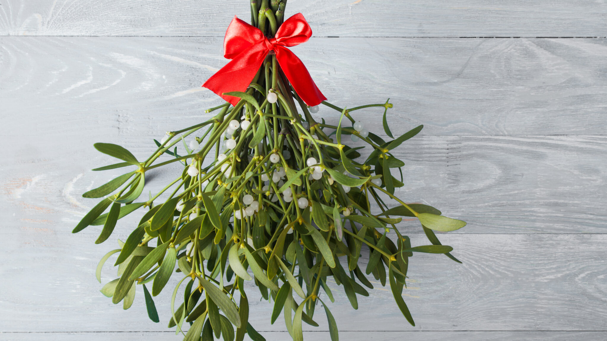 Vâscul nu trebuie să lipsească în noaptea de Revelion. De unde a pornit ...