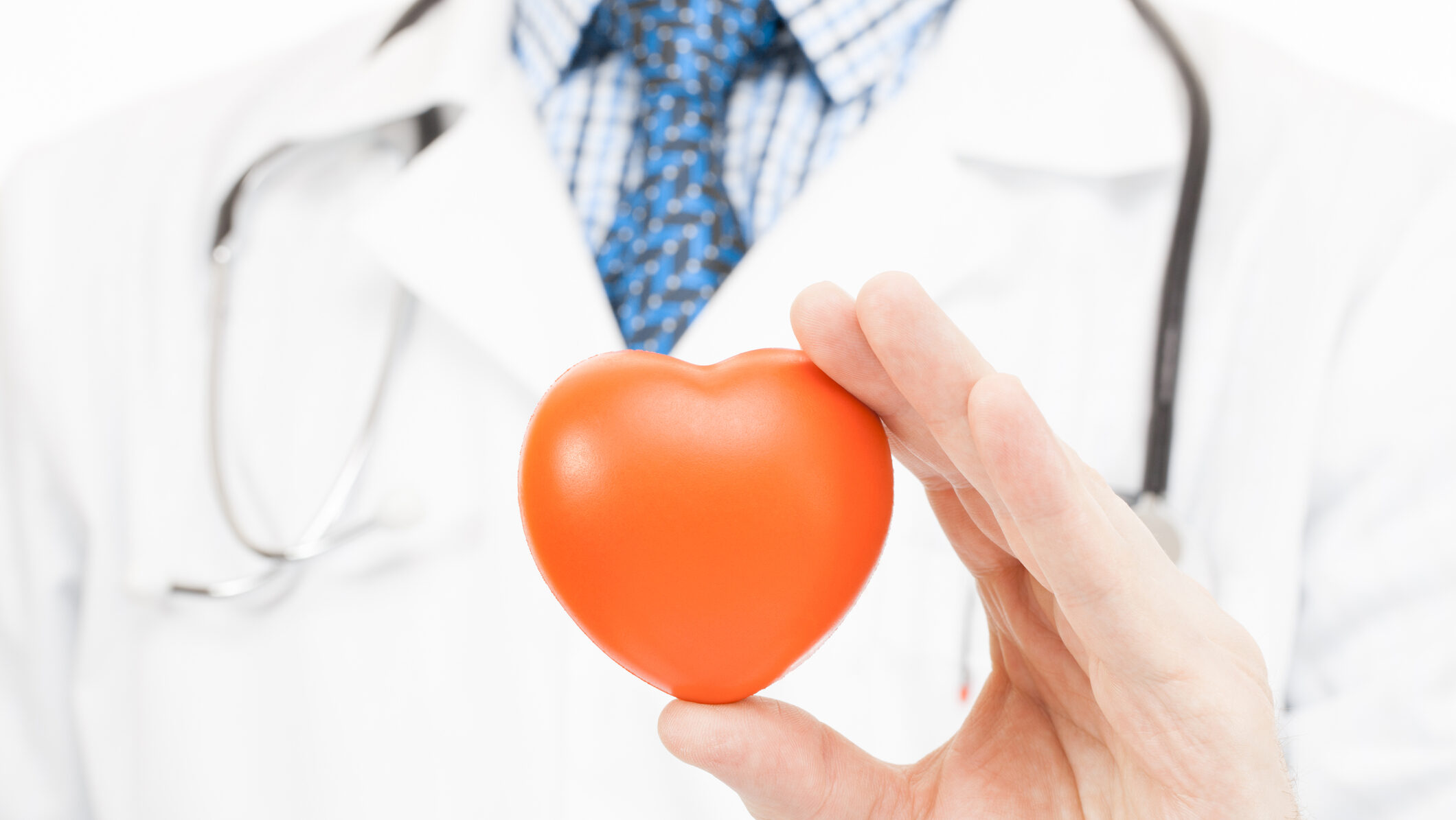 Plantele mediteraneene sunt promițătoare în prevenirea bolilor de inimă ...