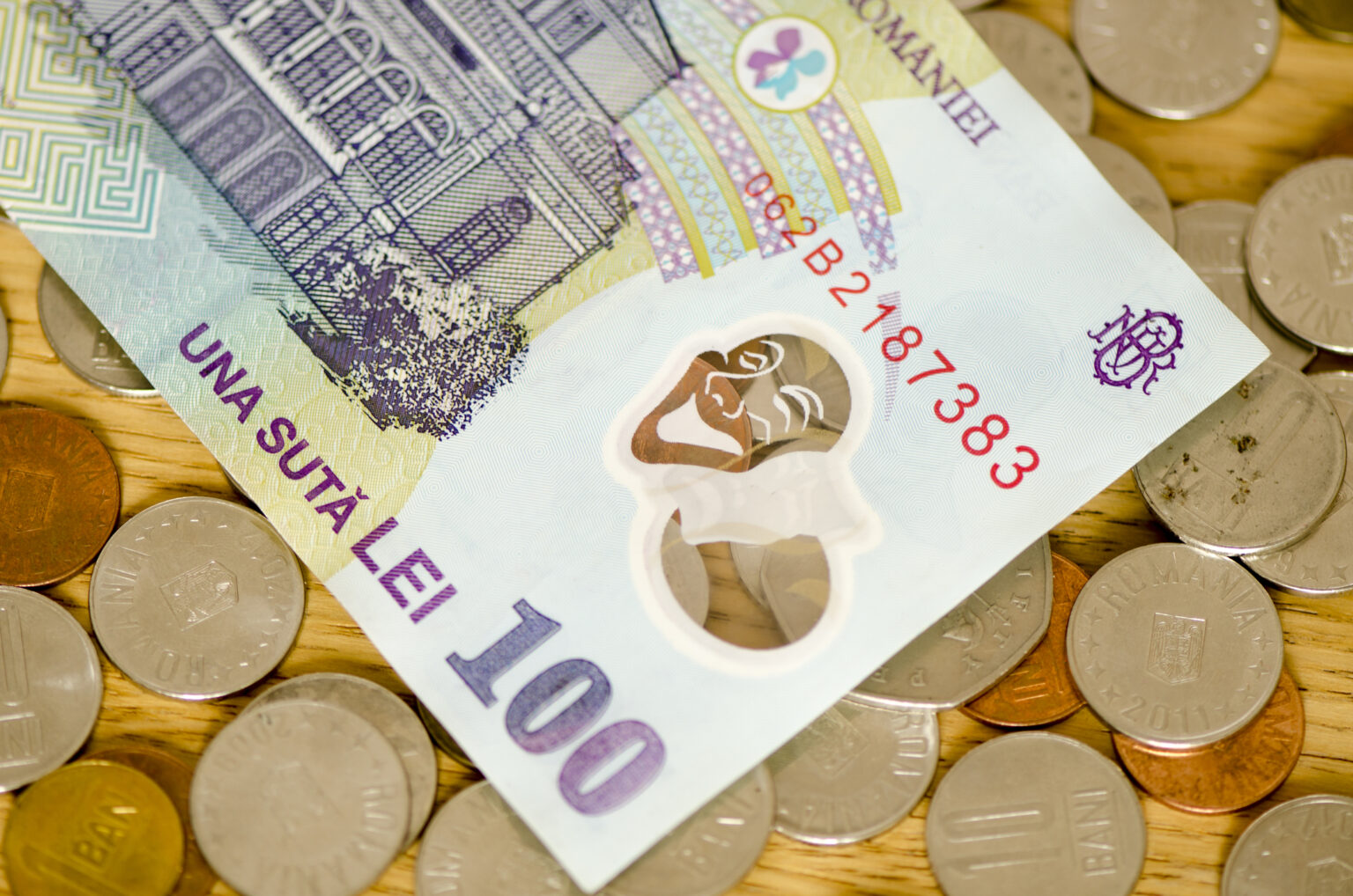 Se dau 100 de lei pe lună de la stat! Anunţ oficial de la Guvern. Cine ...