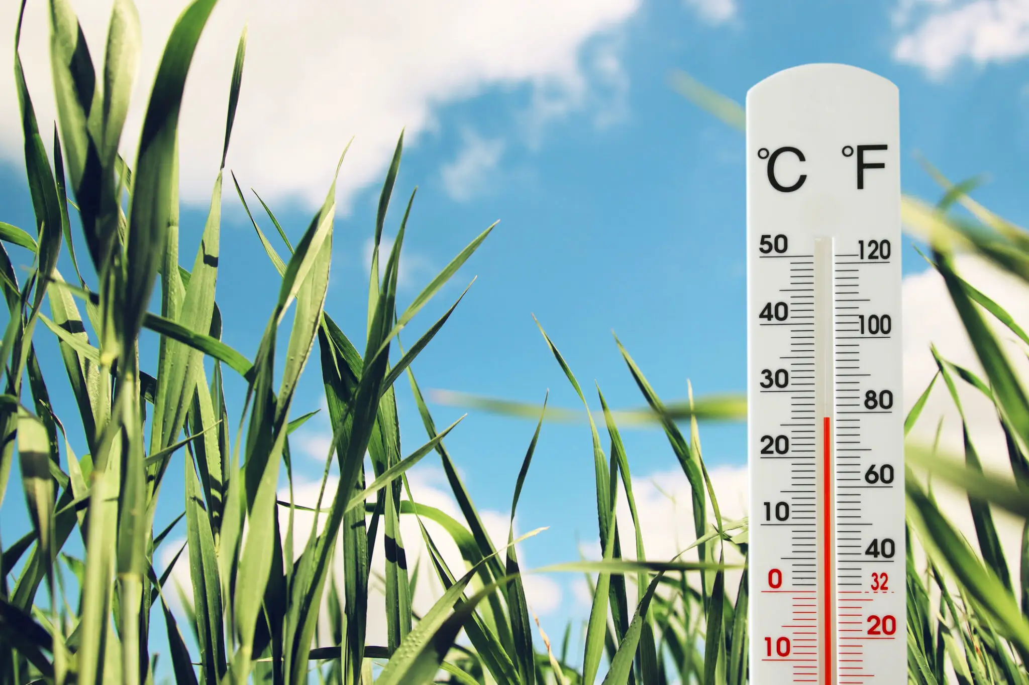 A venit vara în România! Temperaturi de peste 25 grade. Prognoza meteo ANM
