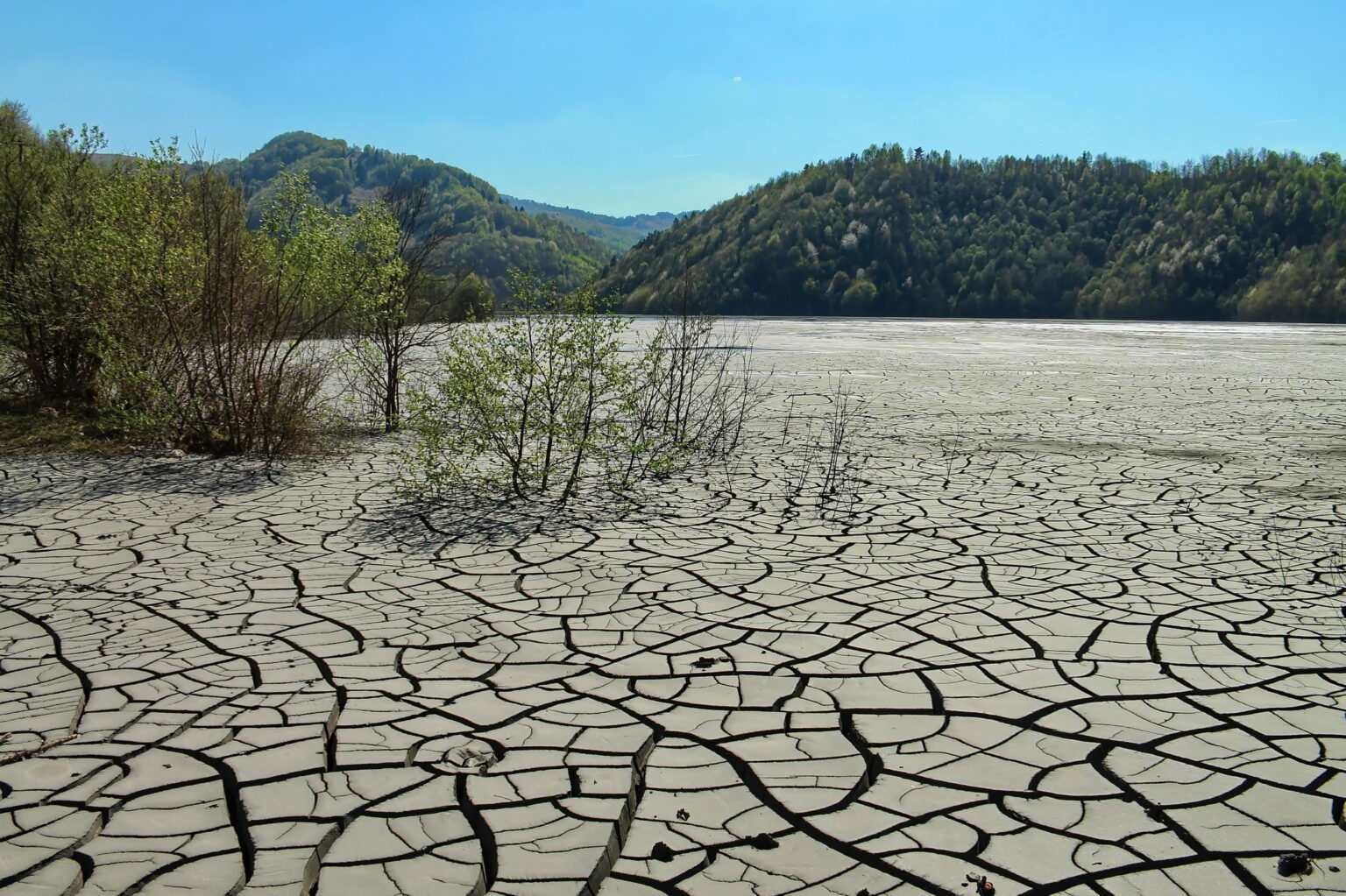 Temperaturile ridicate fac ravagii! Petre Daea: Seceta pedologică s-a ...