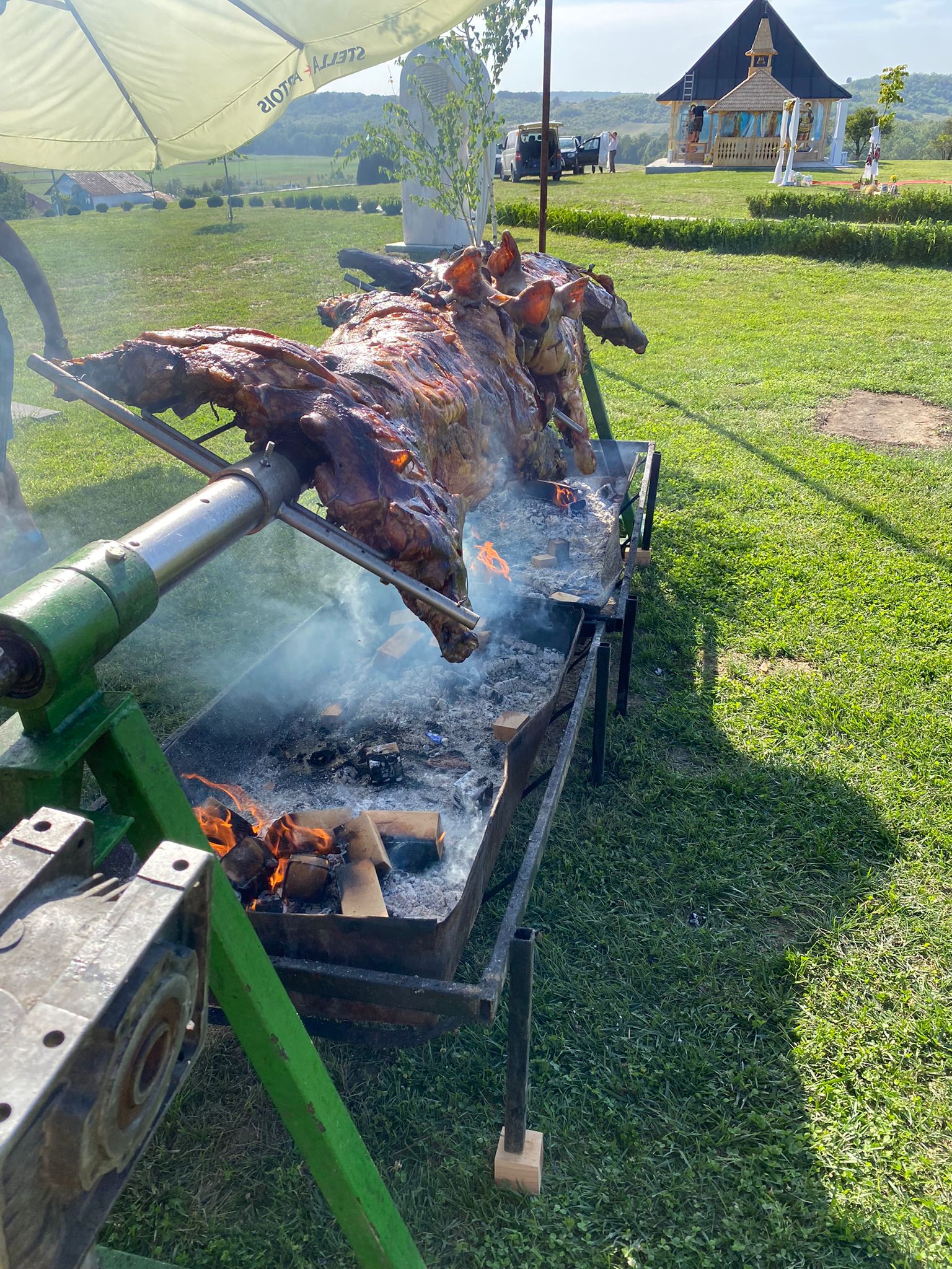 EXCLUSIV. Imagini bombă de la nunta lui George Simion. Cum arată, de ...