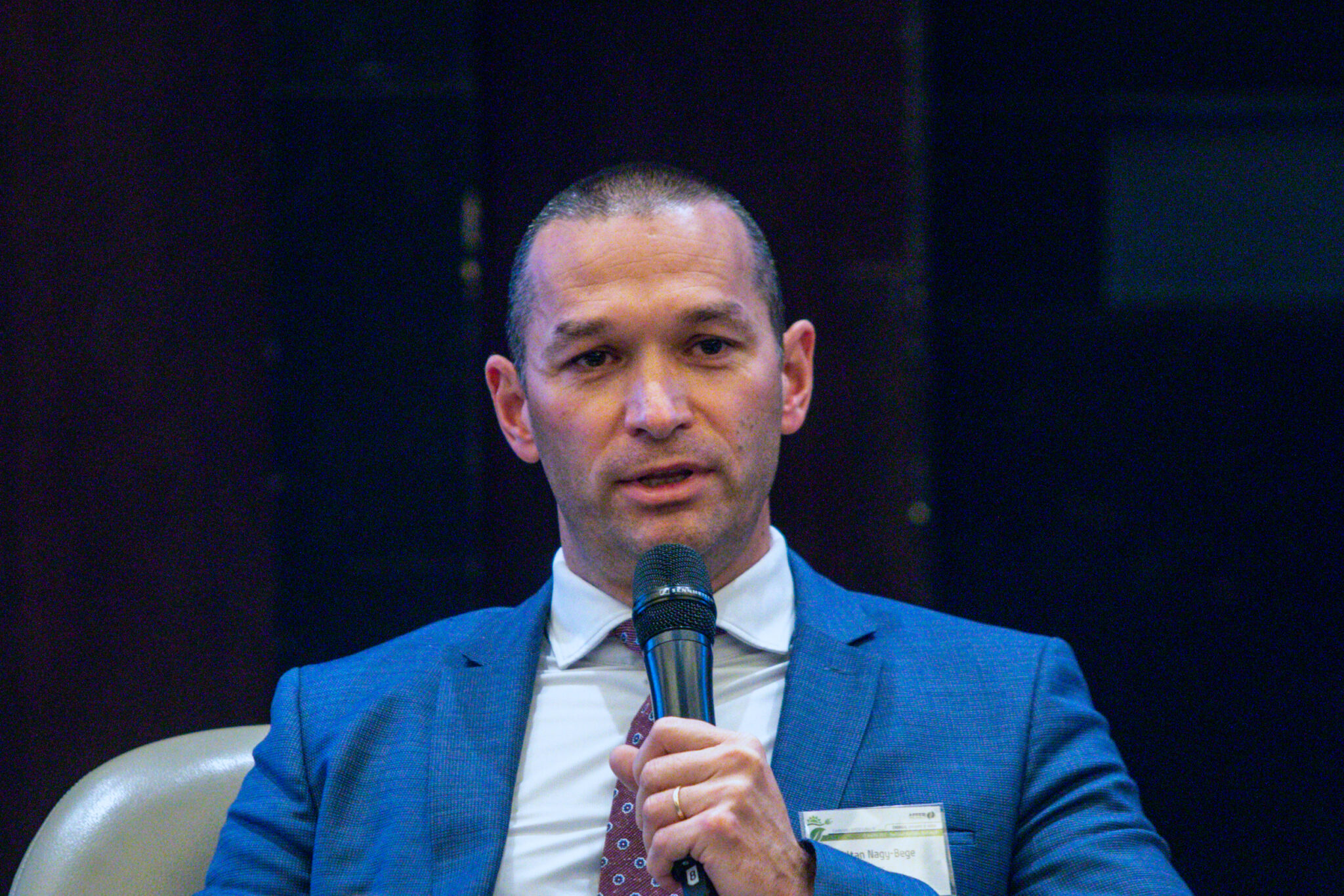 Zoltan Nagy-Bege, ANRE: Prețurile la energie, plafonate la niveluri ...