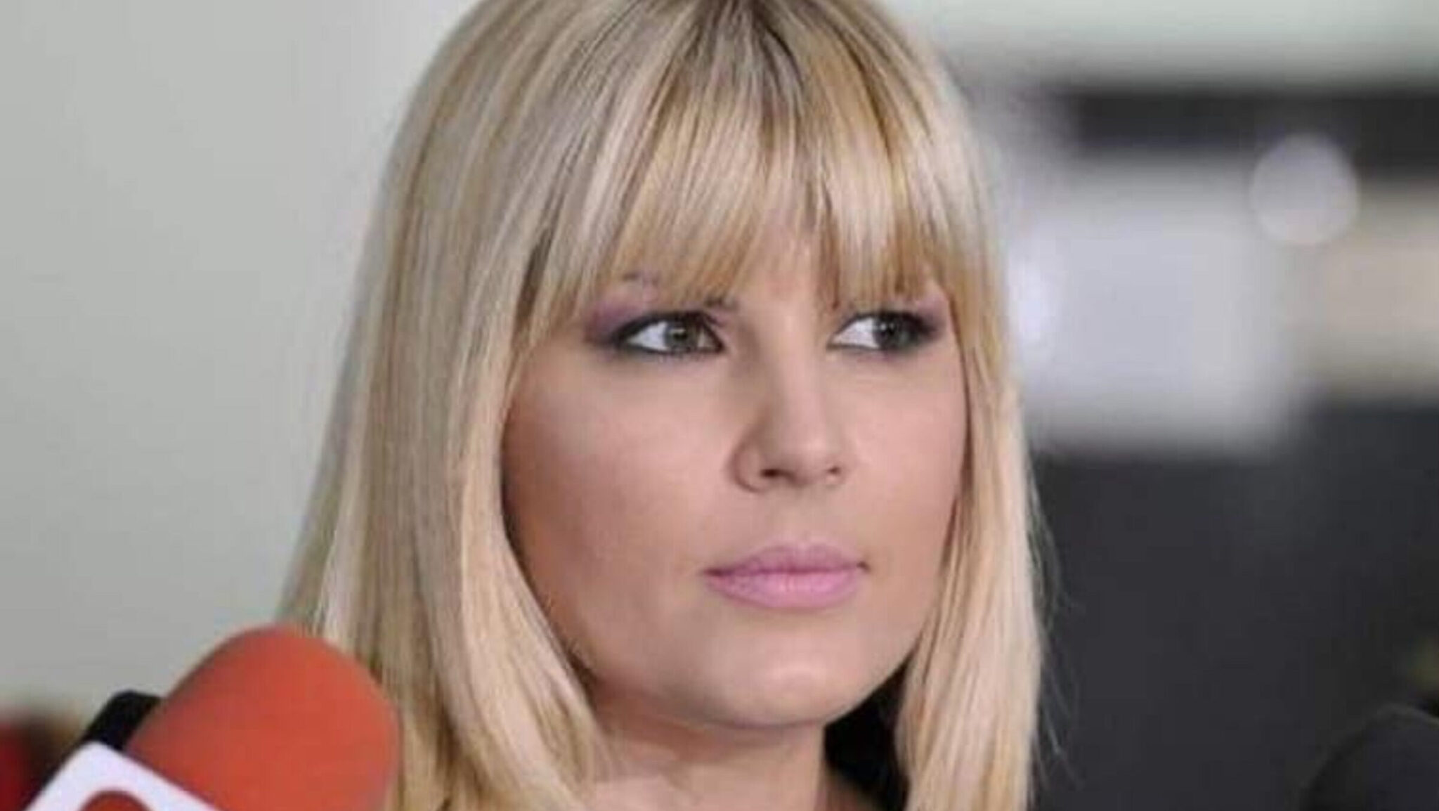 Elena Udrea e distrusă. Anunț din spatele gratiilor: Vă doresc un Crăciun la fel ca al meu ...