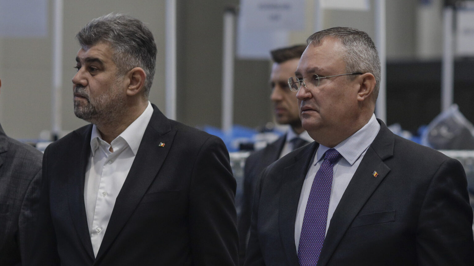 Planurile PSD-PNL pentru 2024. Alina Mungiu-Pippidi: Nu este înțelept ...