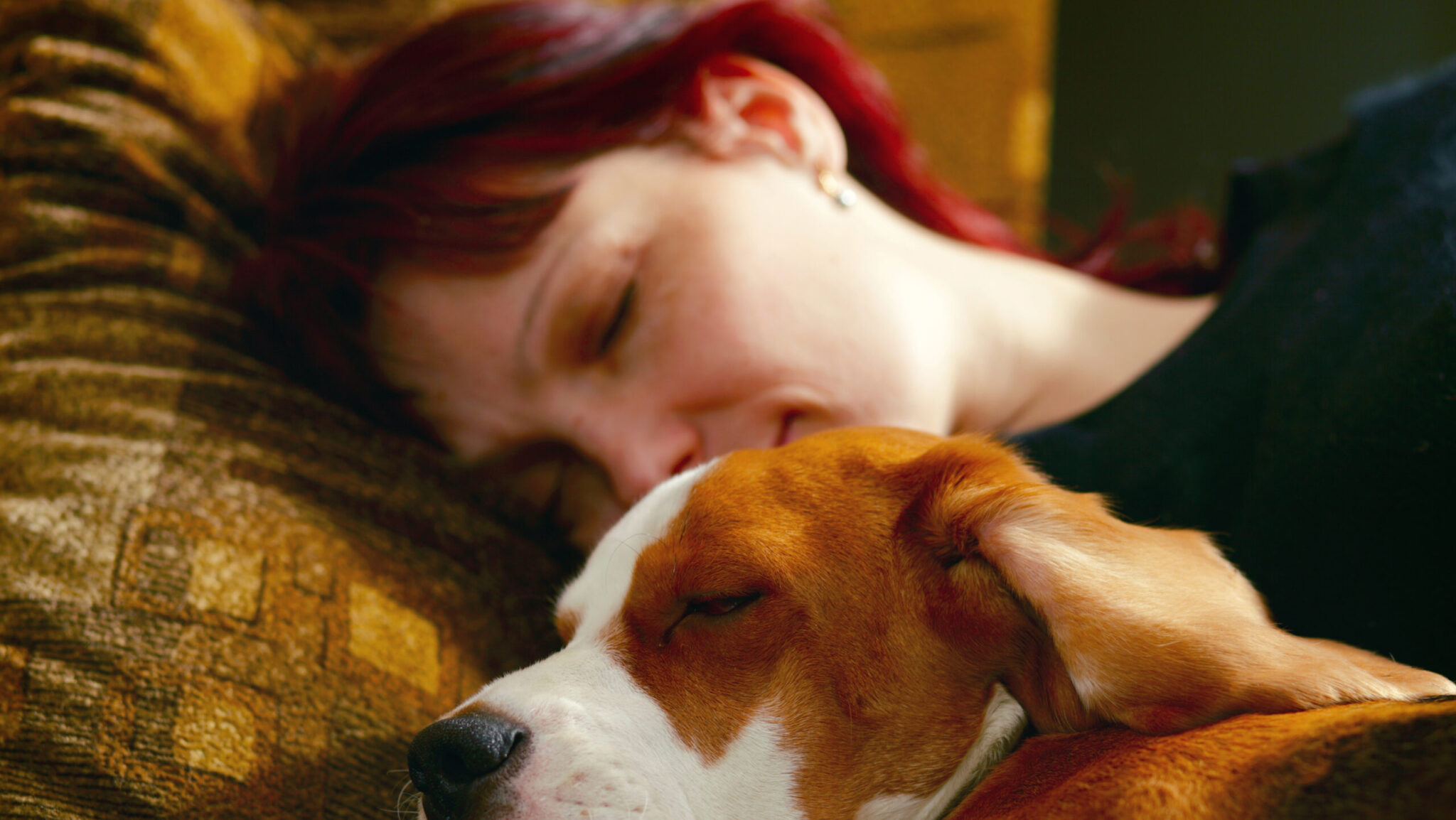 Este total interzis pentru cei care au câini. Ce nu au voie să facă sub nicio formă – Capital