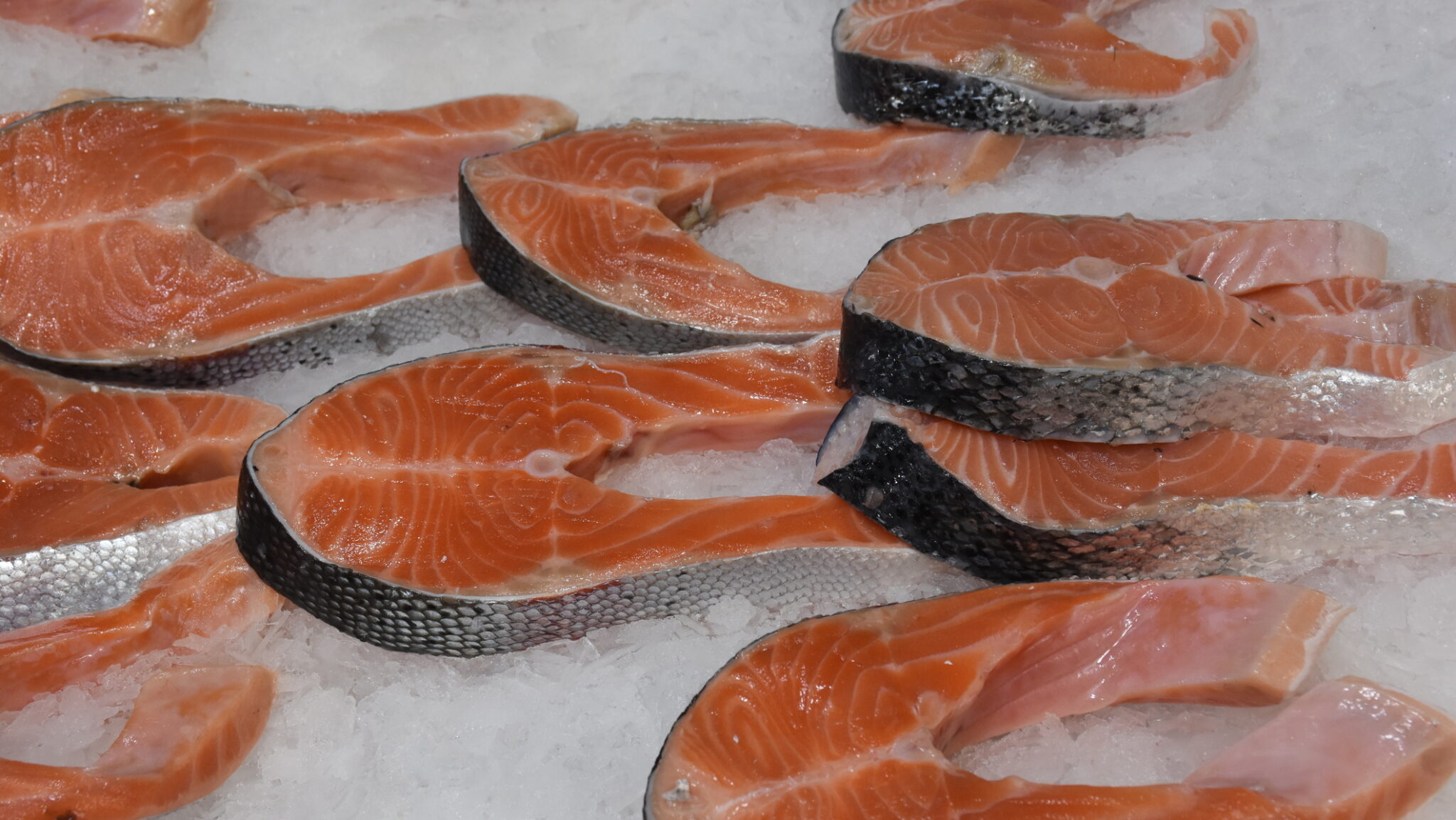 Peștele care conține mercur. Trebuie să te ferești să îl consumi