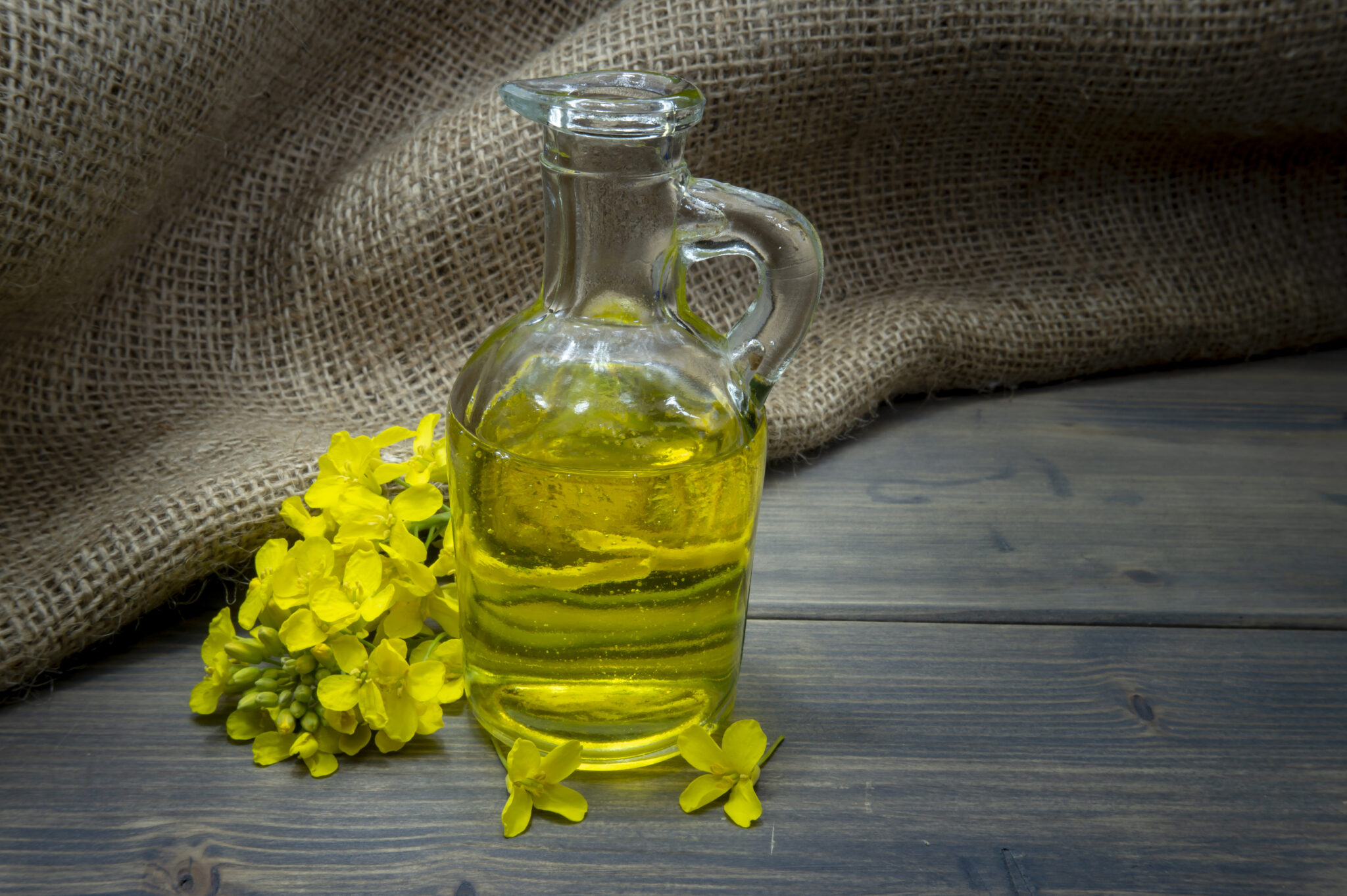 Uleiul sau untura? Ce este mai sănătos? Medicii au spus adevărul