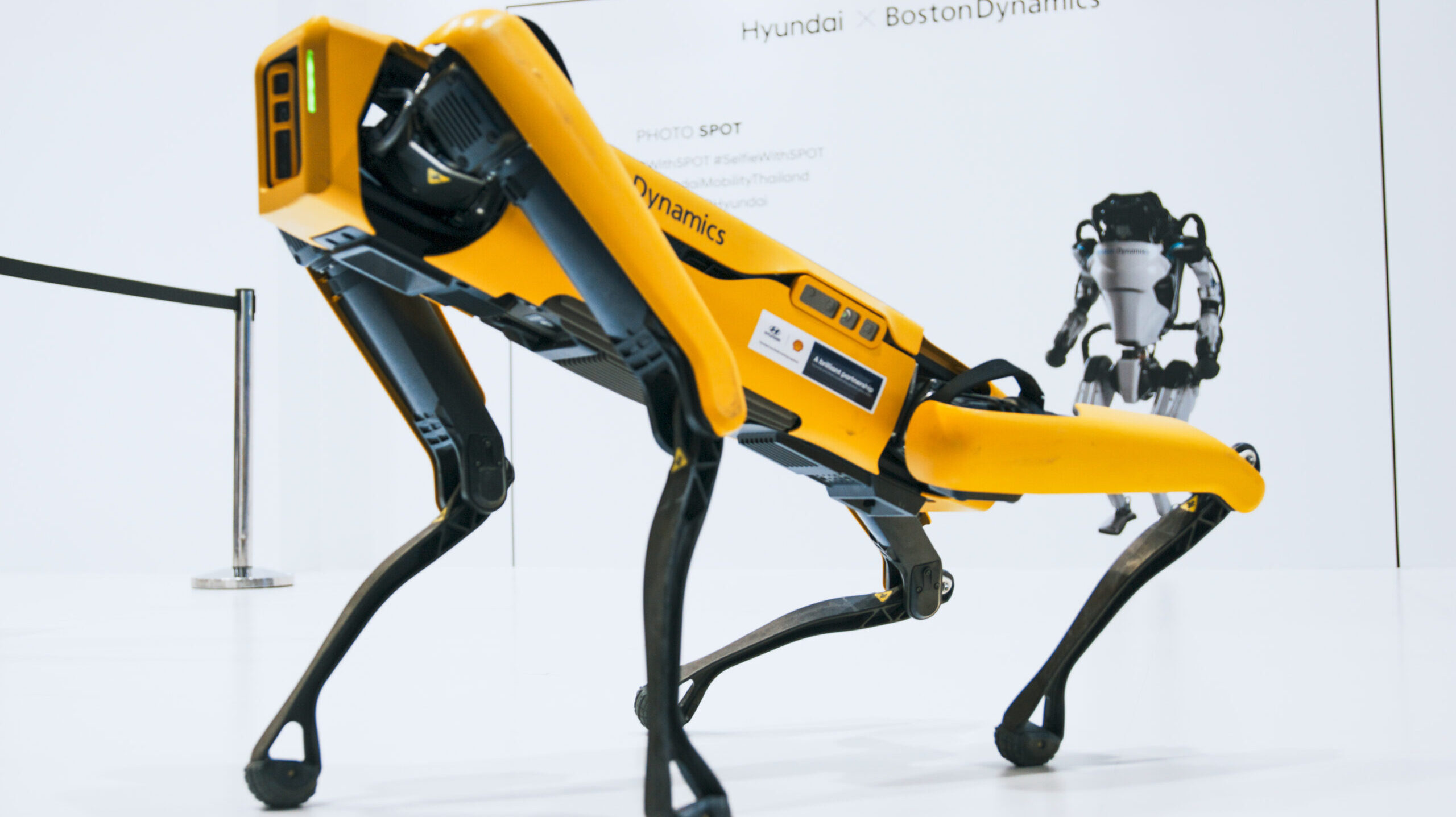 Câinele robot care a ajuns ghid turistic. „Se laudă” cu accentul său ...