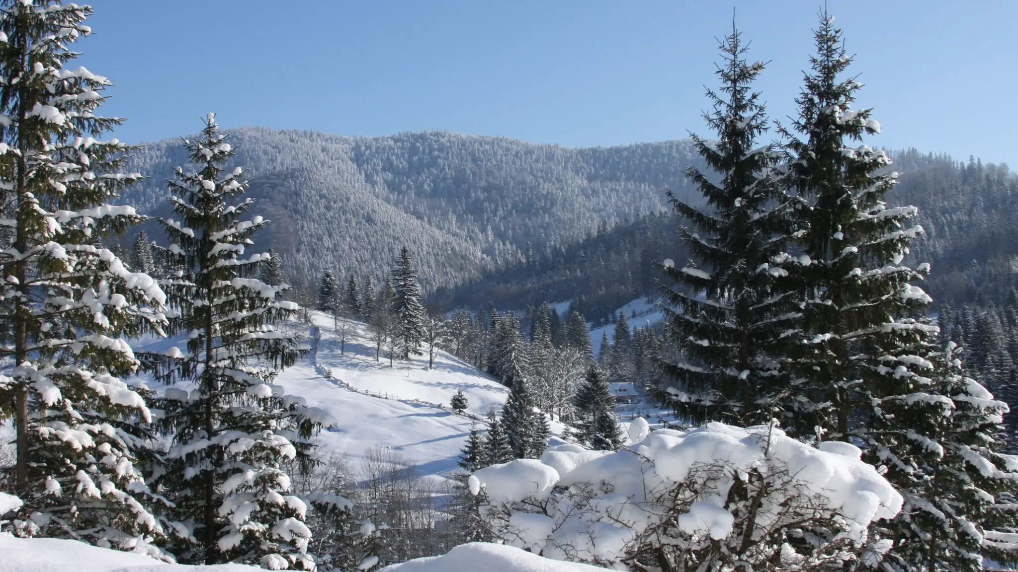 Un val de frig arctic lovește toată Europa. Cum va fi vremea în România