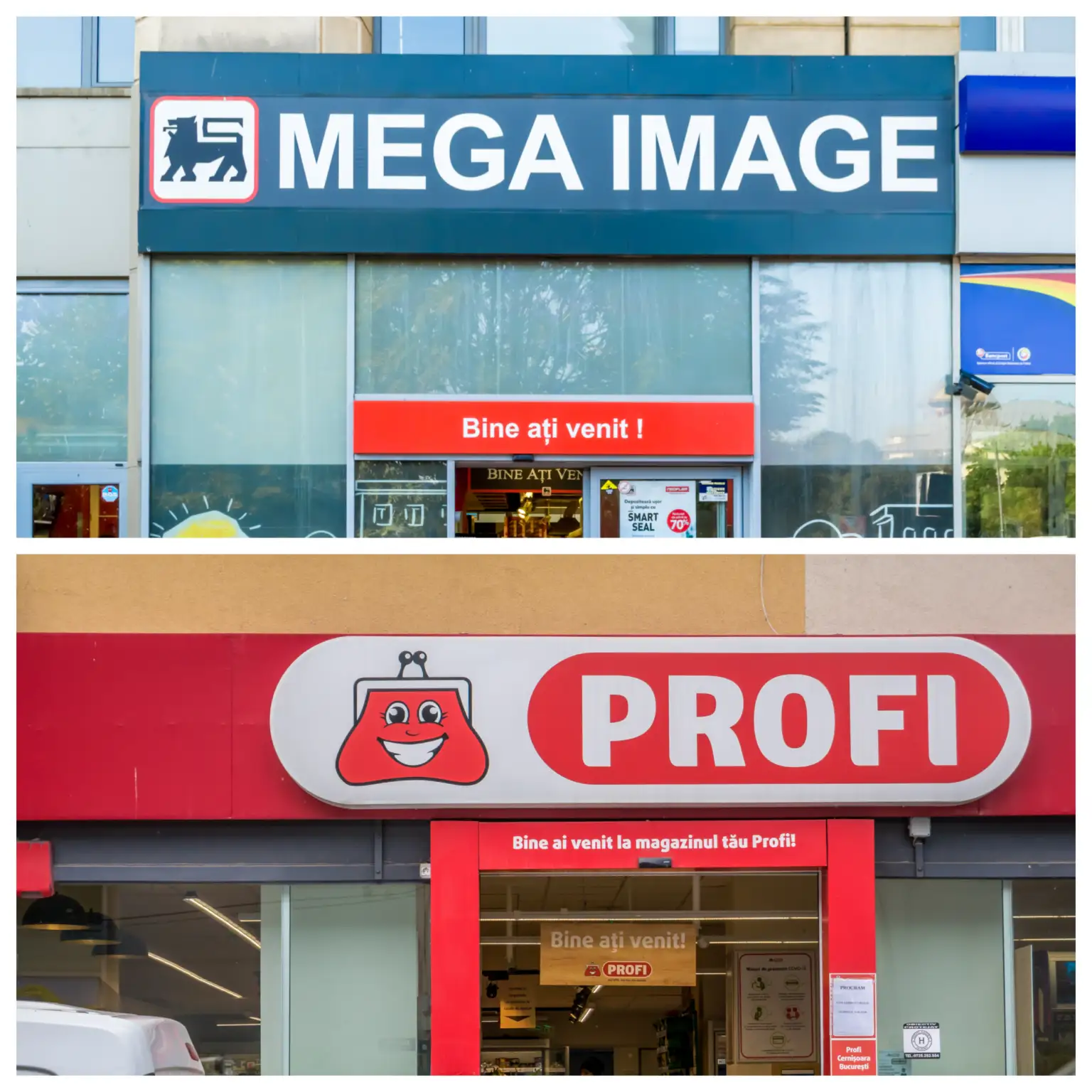 Mega Image și Profi vor funcționa ca o singură companie, dar numele vor ...