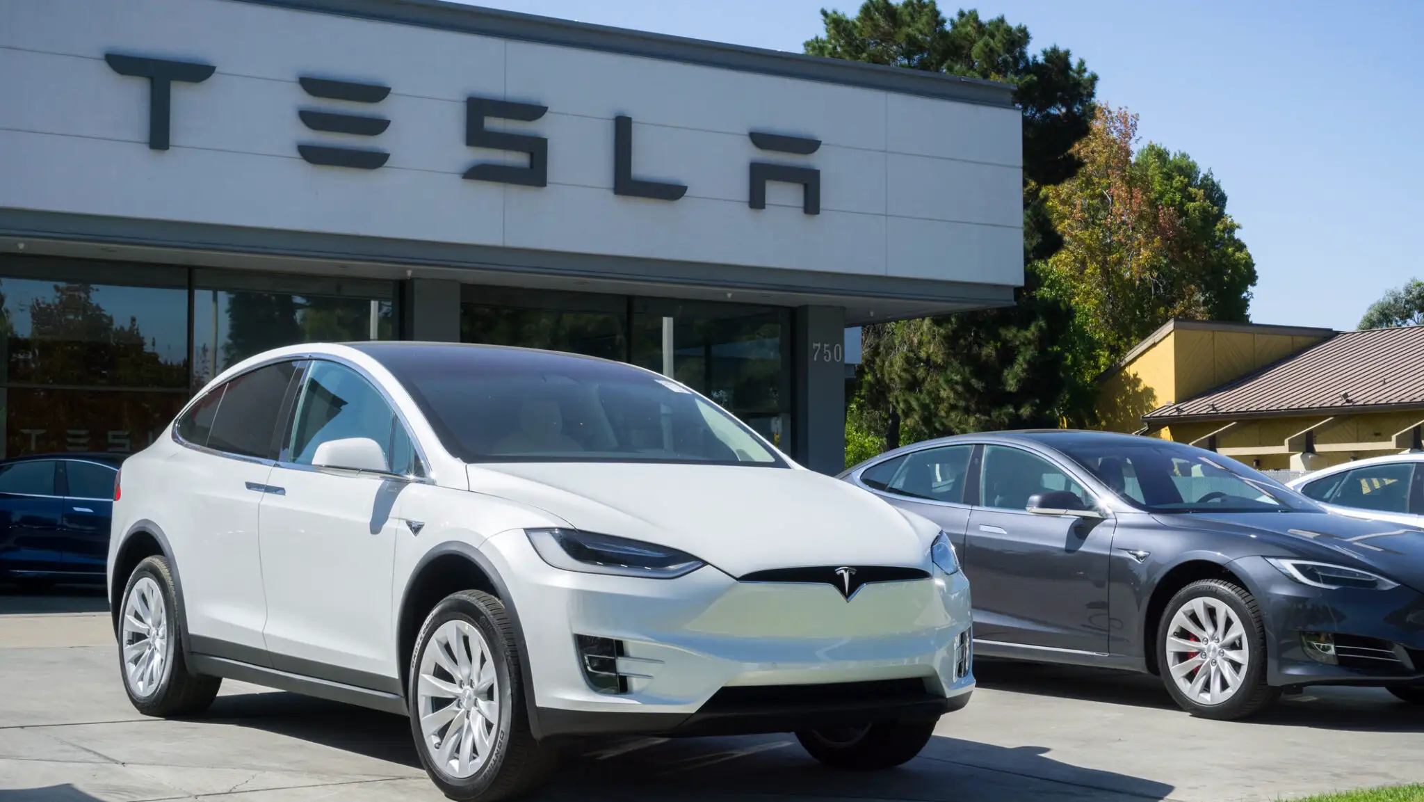Tesla deschide un nou showroom în România, în ciuda scăderii vânzărilor ...