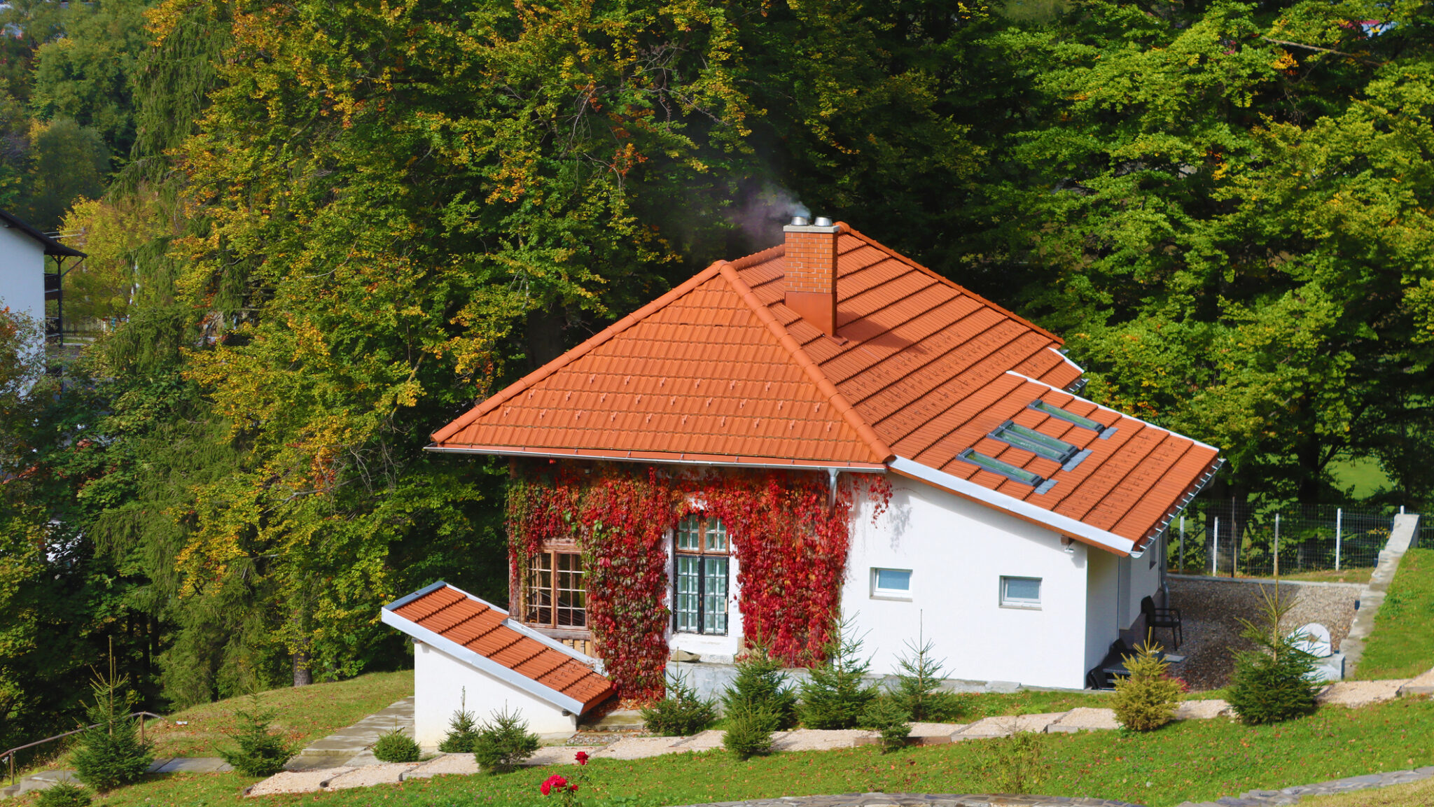 Informație pentru cei care stau la curte. Ce trebuie să facă ...