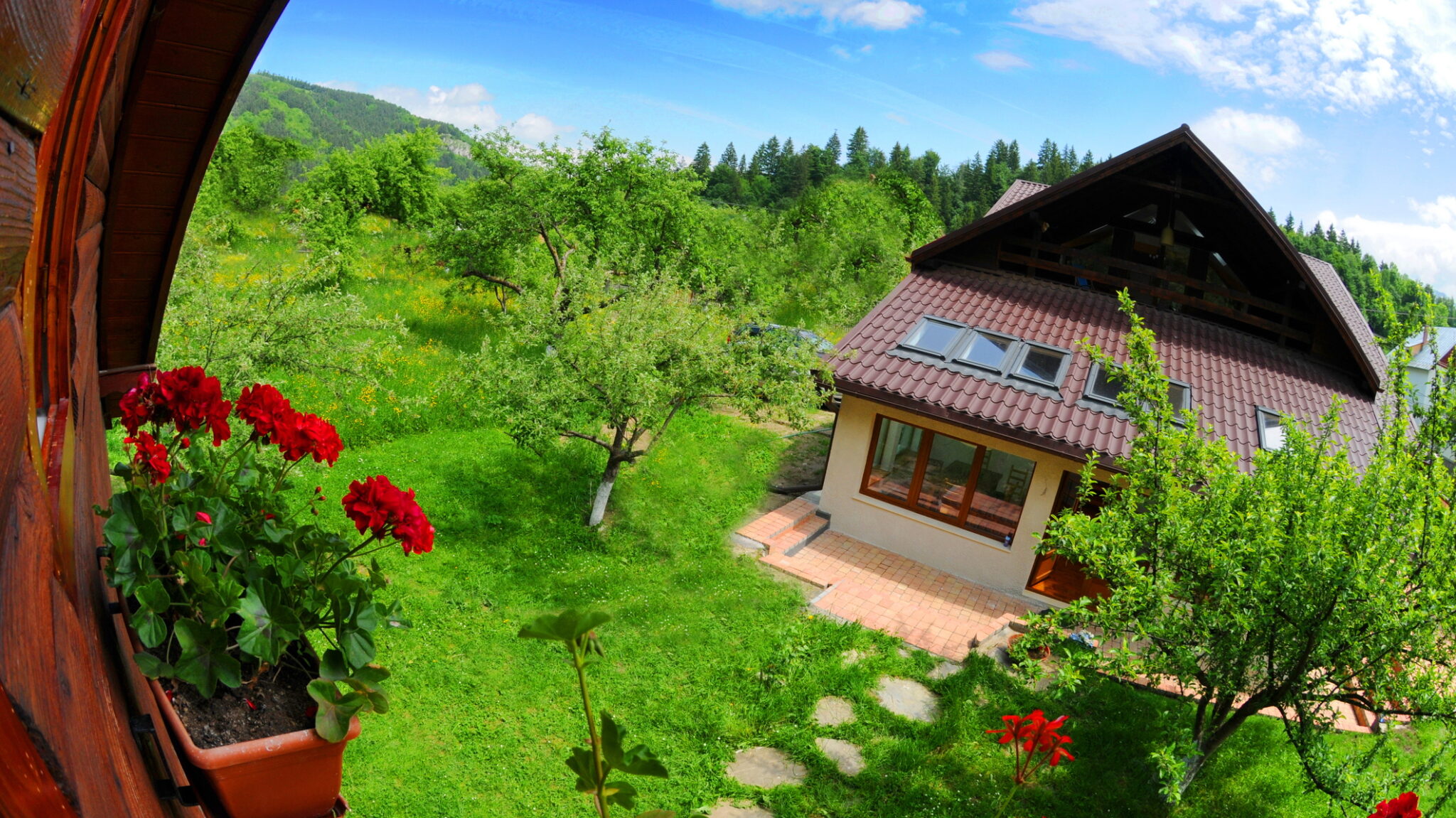 Informație pentru cei care au casă la curte. Regulă pentru toți ...