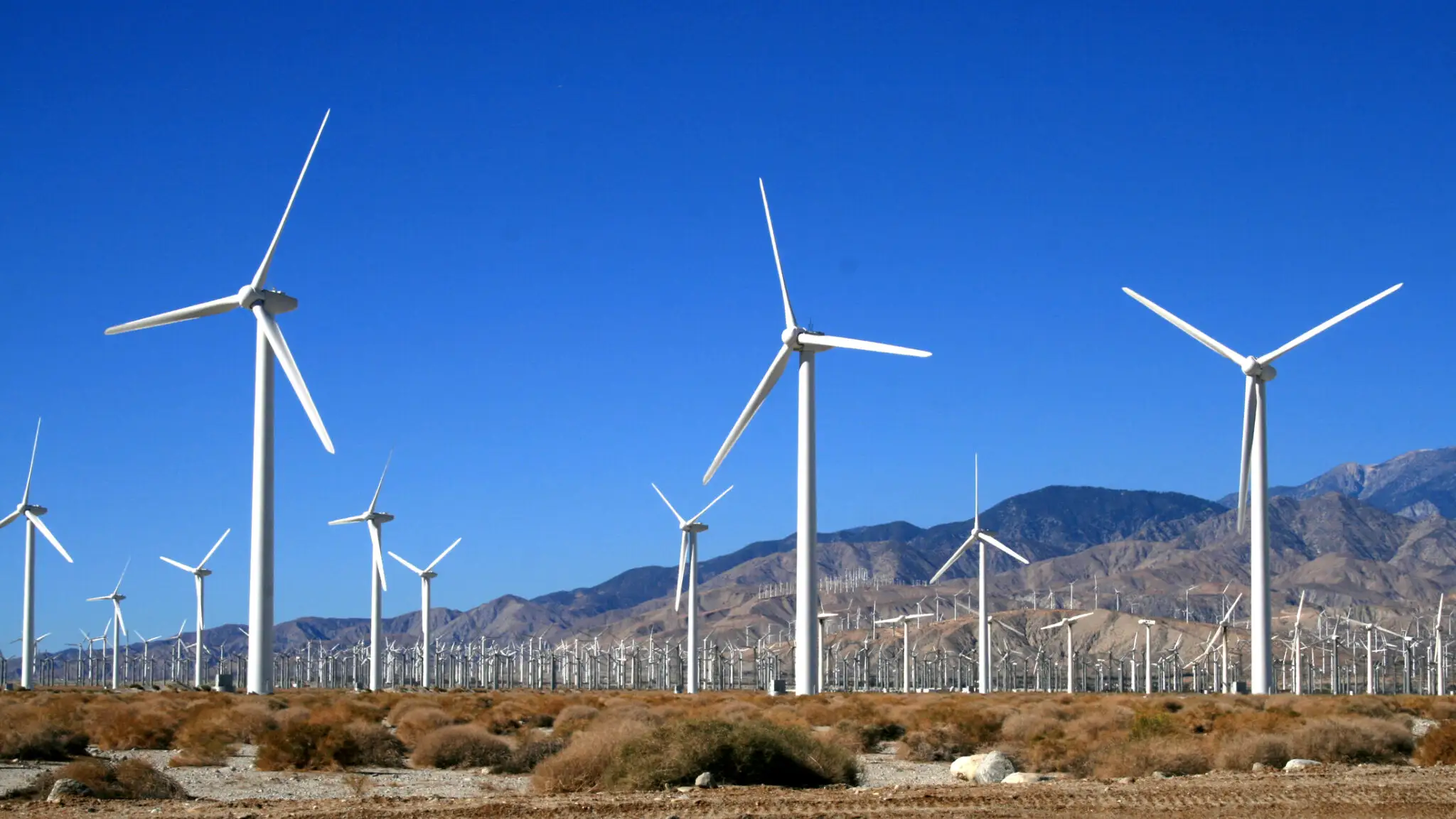 Creştere majoră a producției de energie eoliană. Care e planul mondial ...