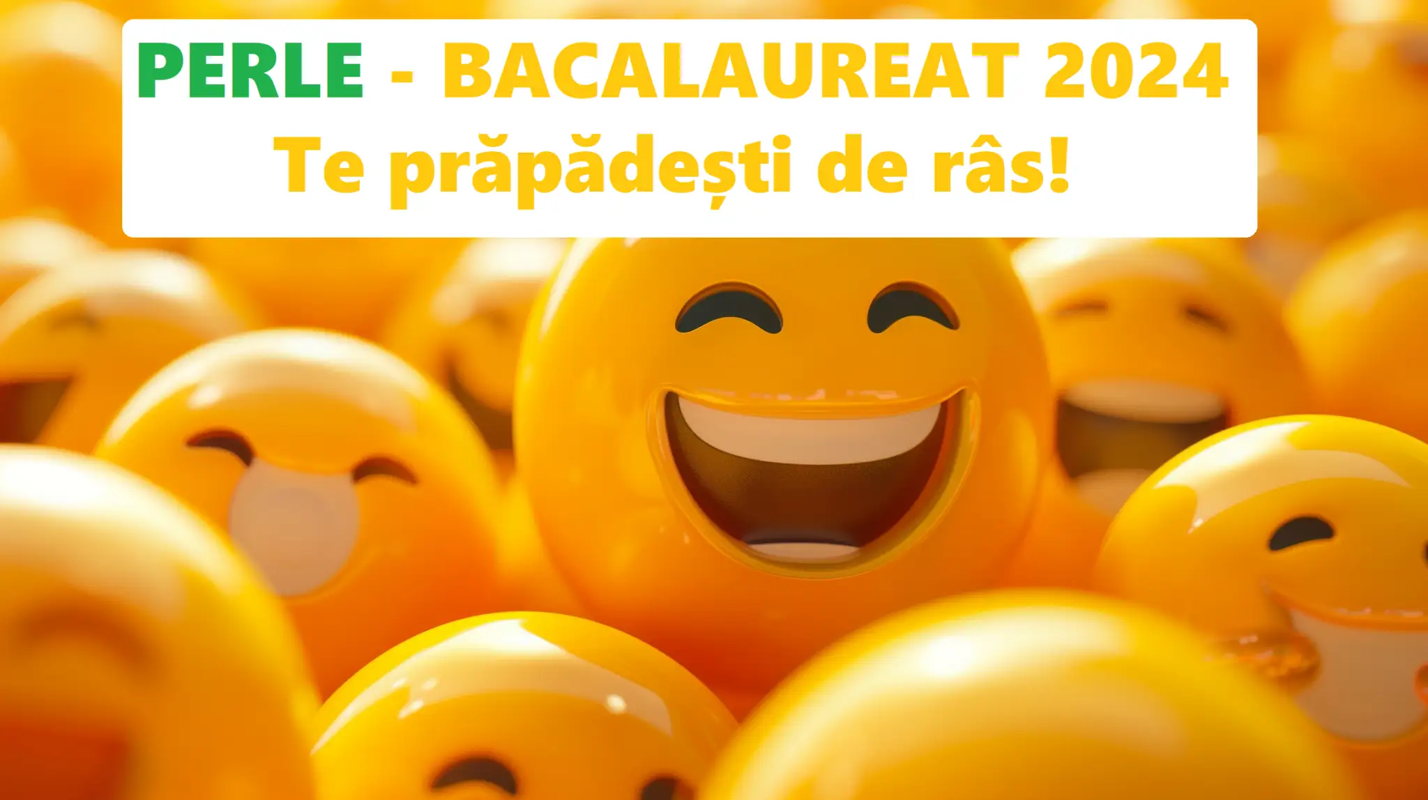 Perle Bacalaureat 2024 la proba la Limba română. Te prăpădești de râs!