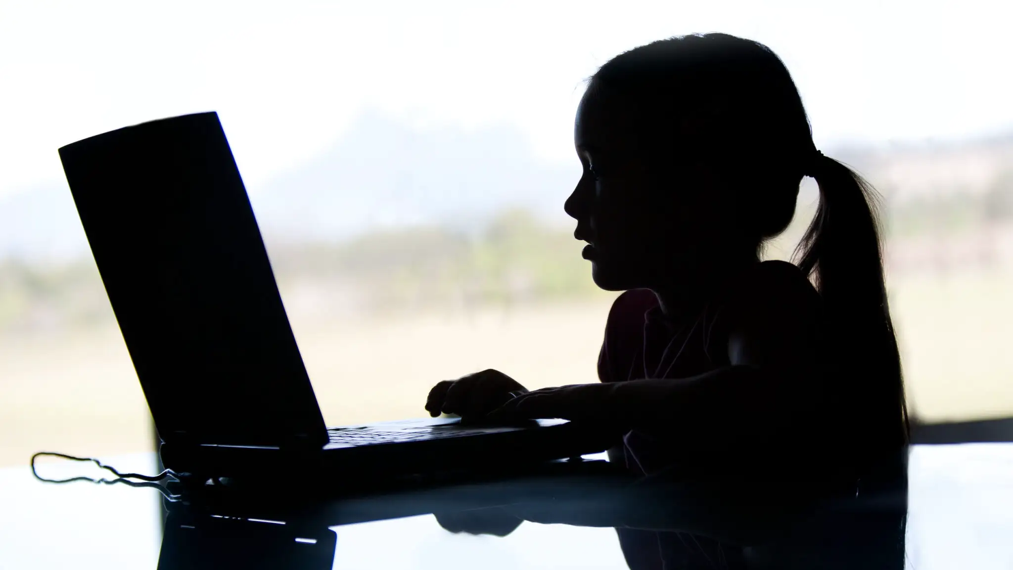 UE schimbă regulile pe internet. Românii vor fi obligați să-și ...