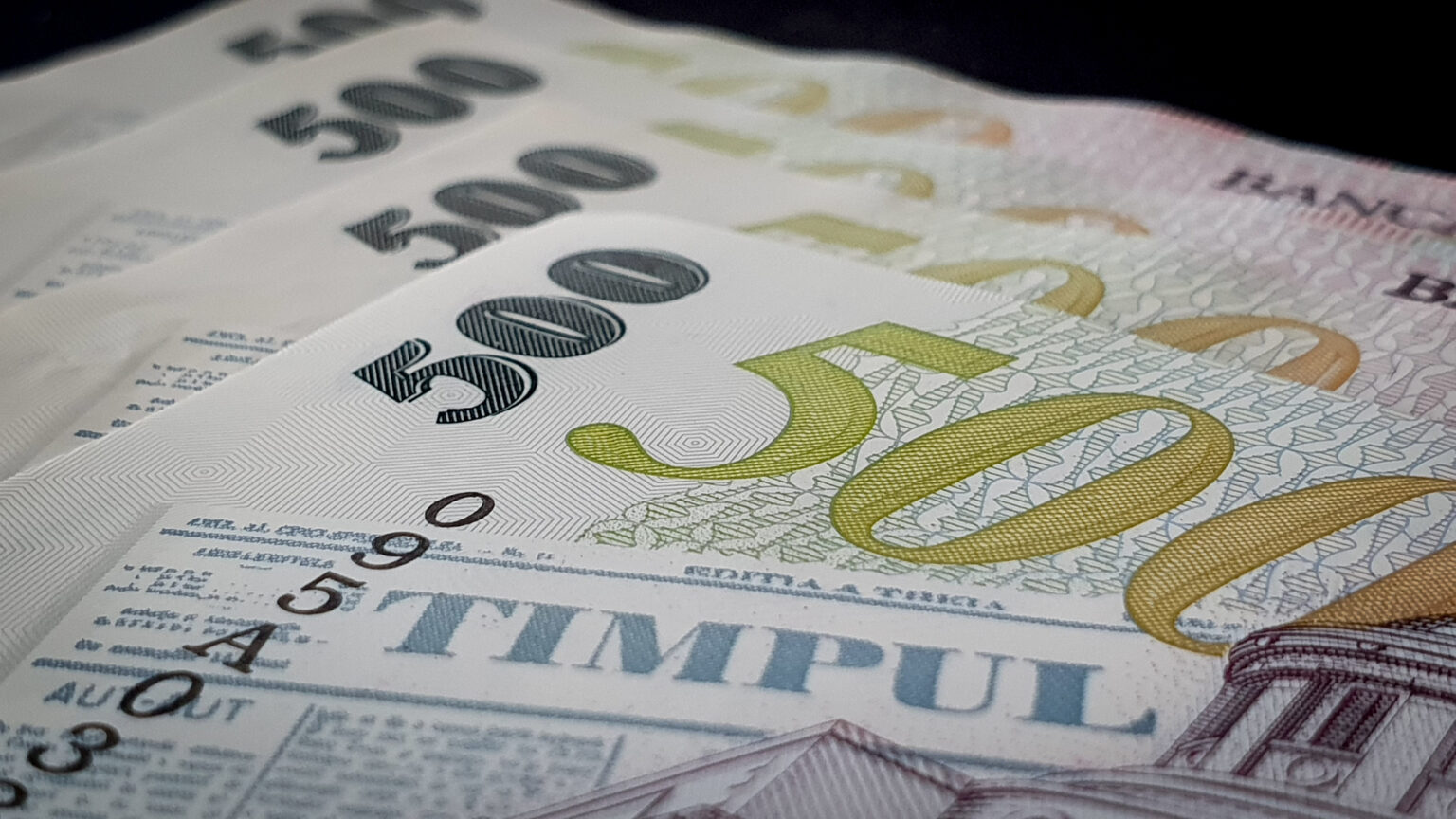 Se dau 15.000 de lei de la stat pentru montarea de garduri. Ce români pot beneficia