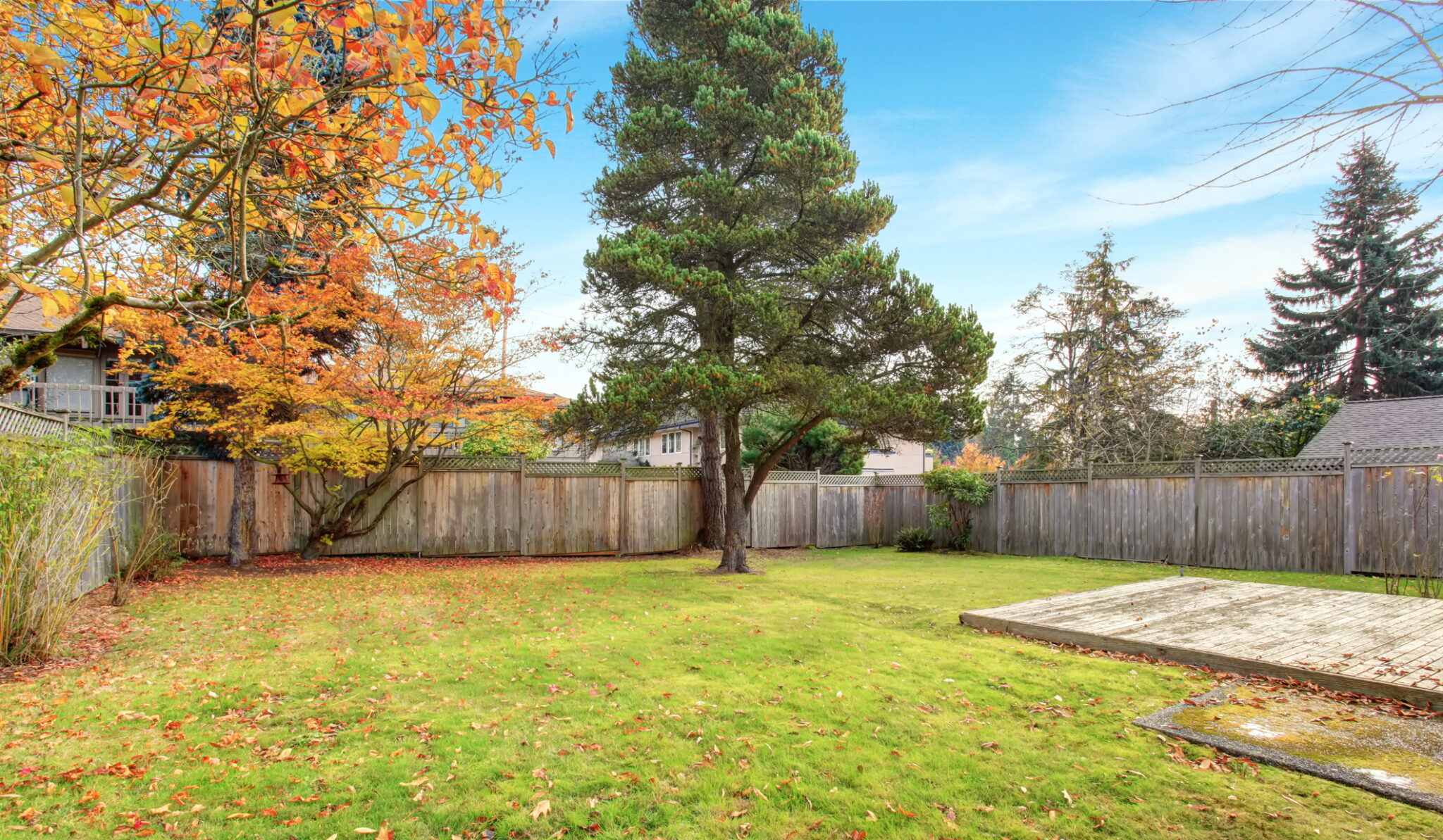 Avertisment pentru proprietarii de case. NU faceți niciodată asta în curte. E interzis chiar ...