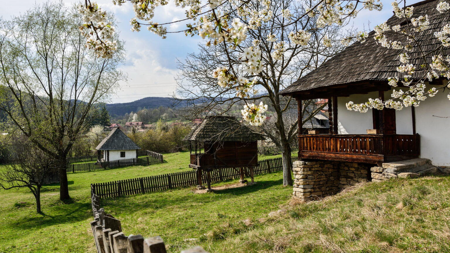 Interzis pentru proprietarii de case. Copacul pe care nu trebuie să-l plantezi niciodată în curte