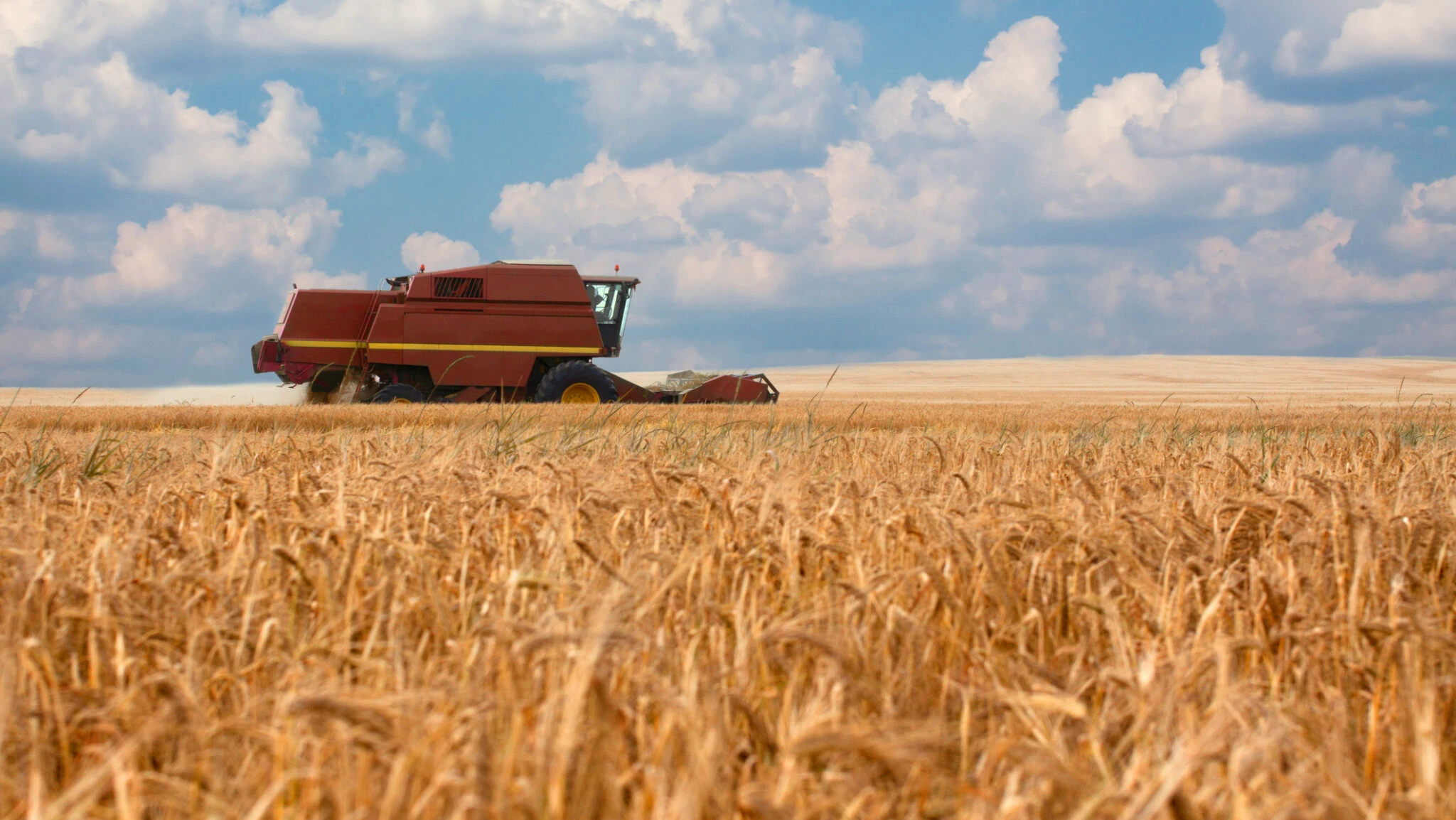 ANSVSA, decizie importantă pentru fermierii români. Este o schimbare ...