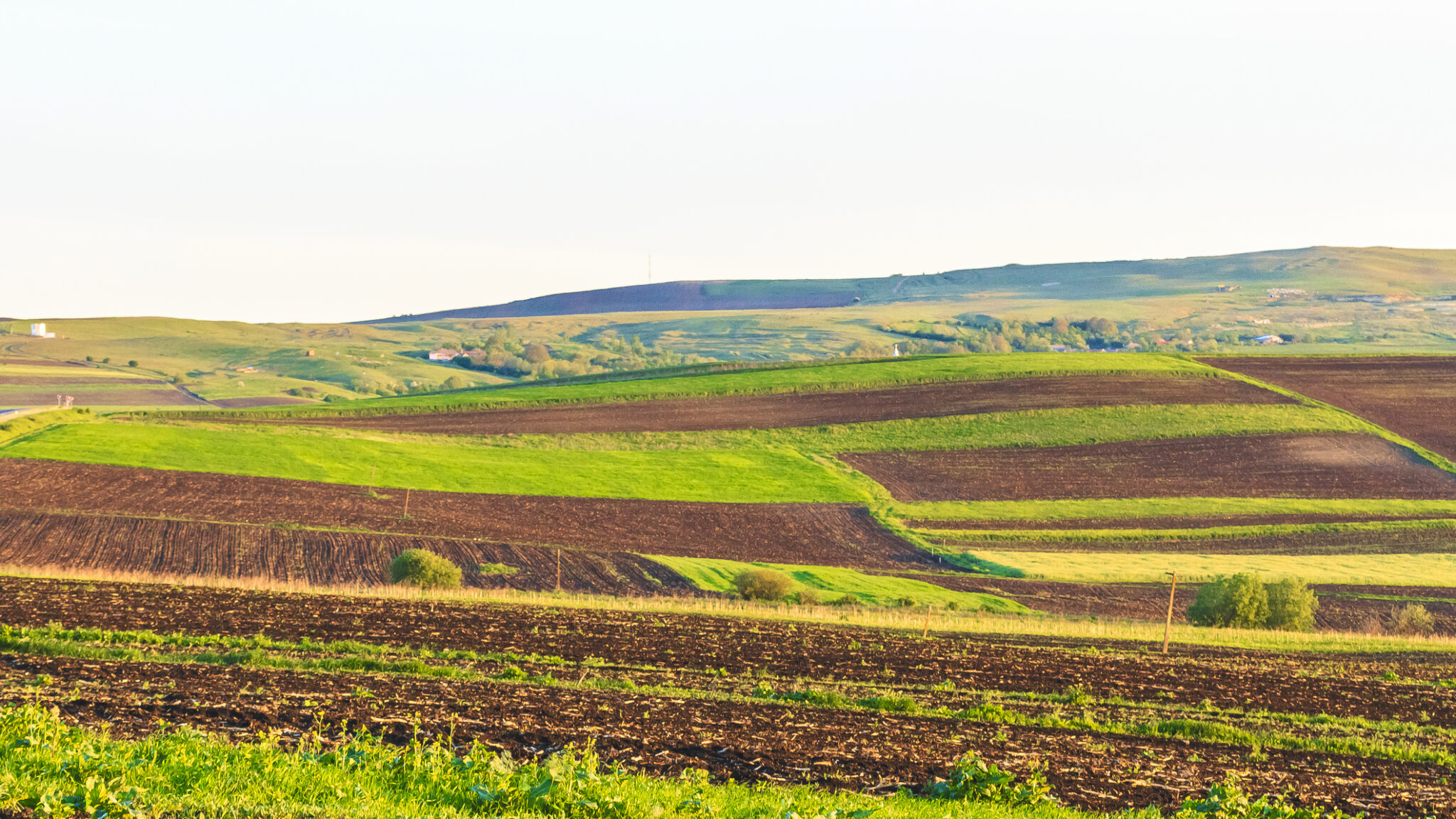 Proprietarii de case și terenuri trebuie să declare tot la Primărie. E lege. Amendă 1.500 de lei ...