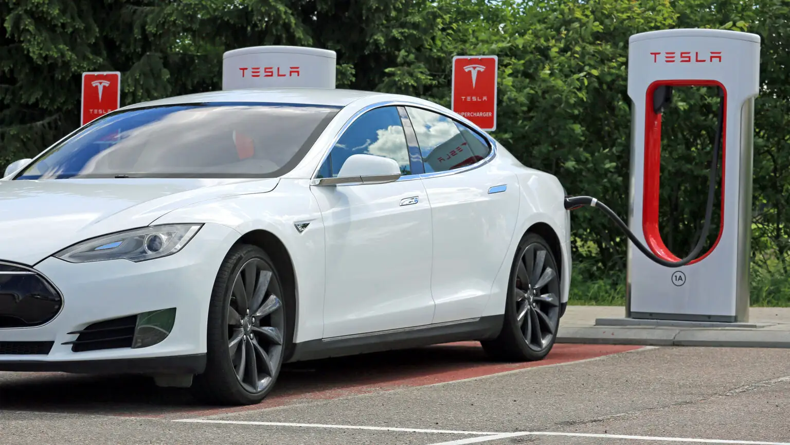 Tesla deschide un nou showroom în România, în ciuda scăderii vânzărilor ...