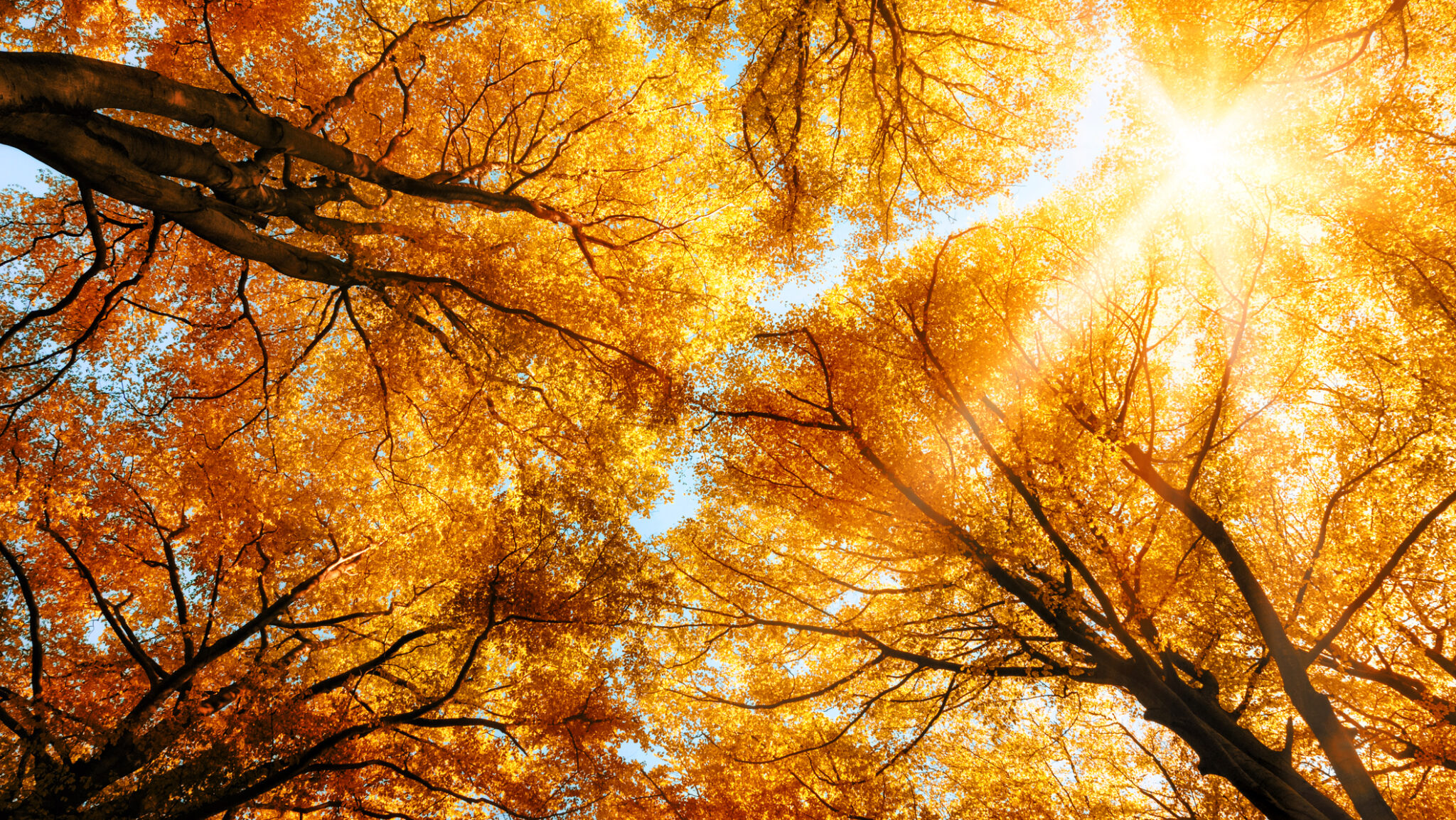 Final de săptămână cu iz de toamnă. Vreme instabilă și temperaturi mai ...