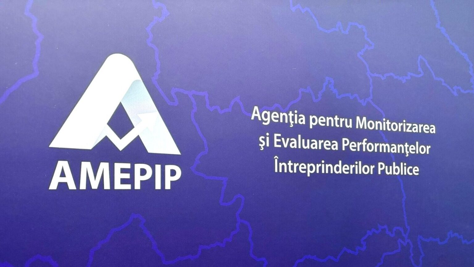 Guvernul a numit noua conducere AMEPIP. Decizia deschide calea pentru ...