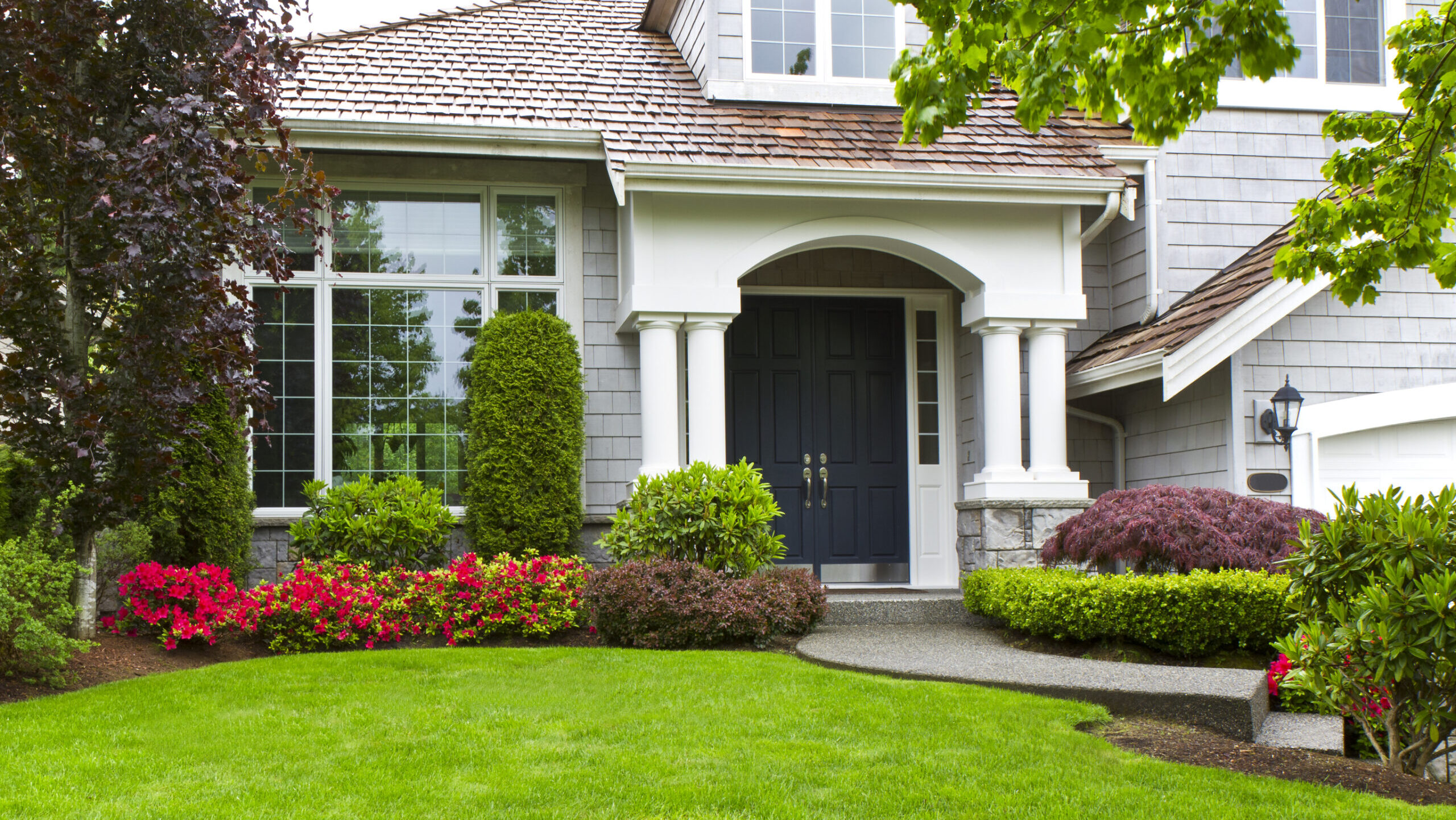 Interzis pentru cei care stau la casă. Planta pe care nu trebuie să o ...