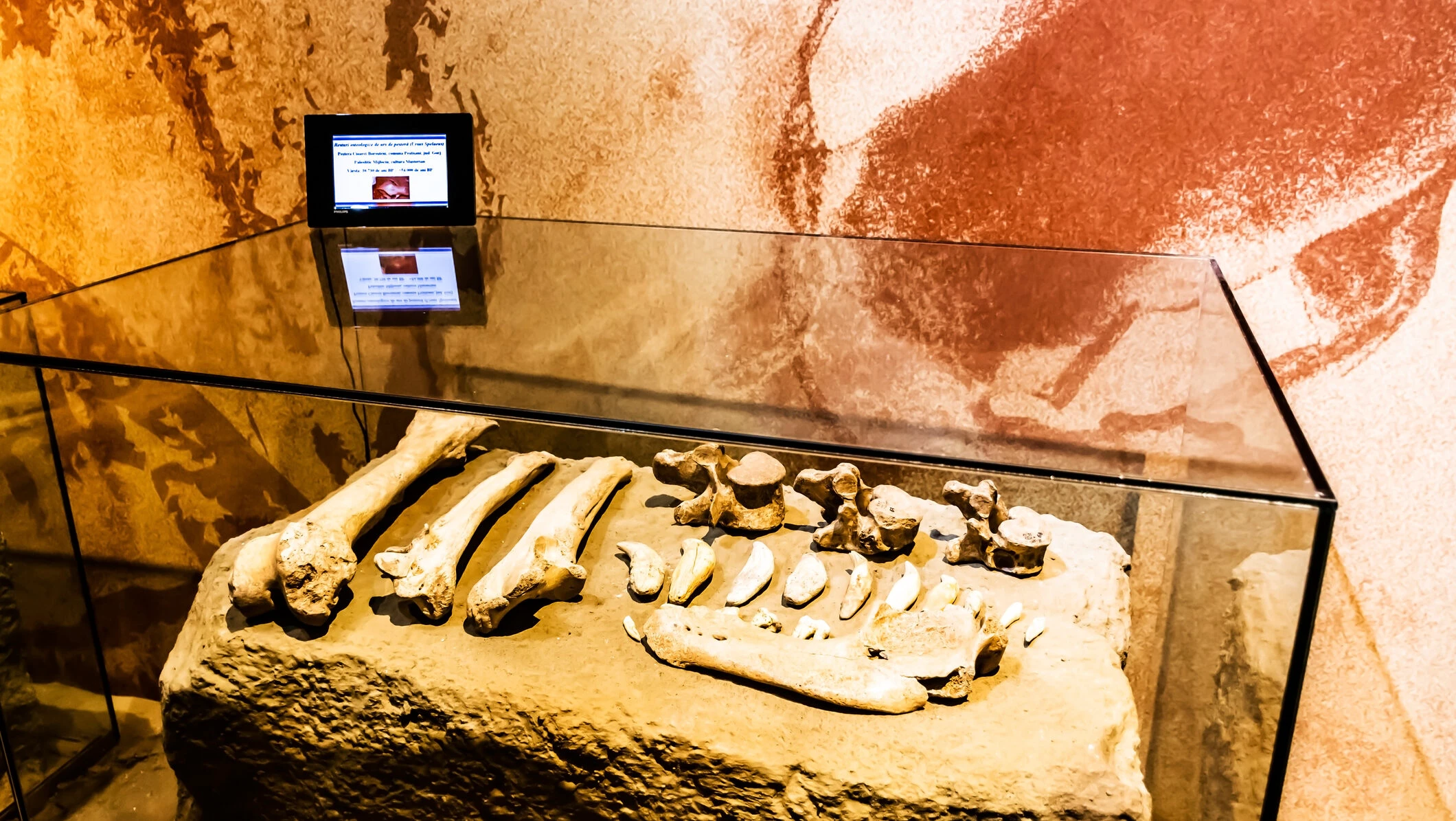 Descoperire arheologică în România. Cele mai vechi urme de fosile umane ...