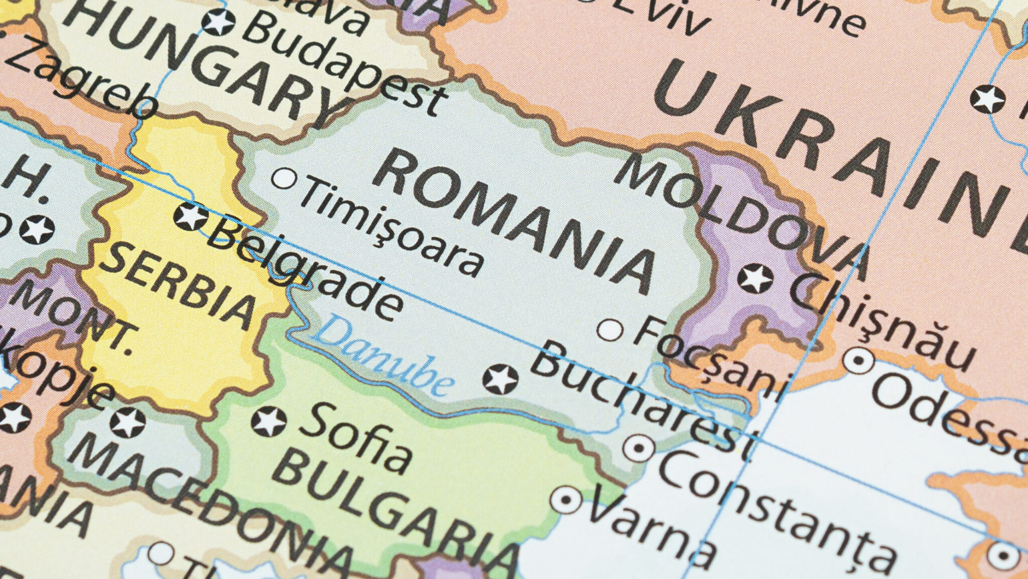 Alertă la granița României! Invazie totală de lăcuste. Au distrus totul ...