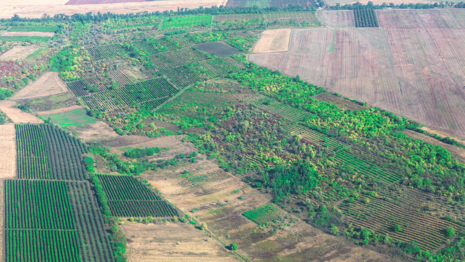 Este obligație pentru toți proprietarii de terenuri din România