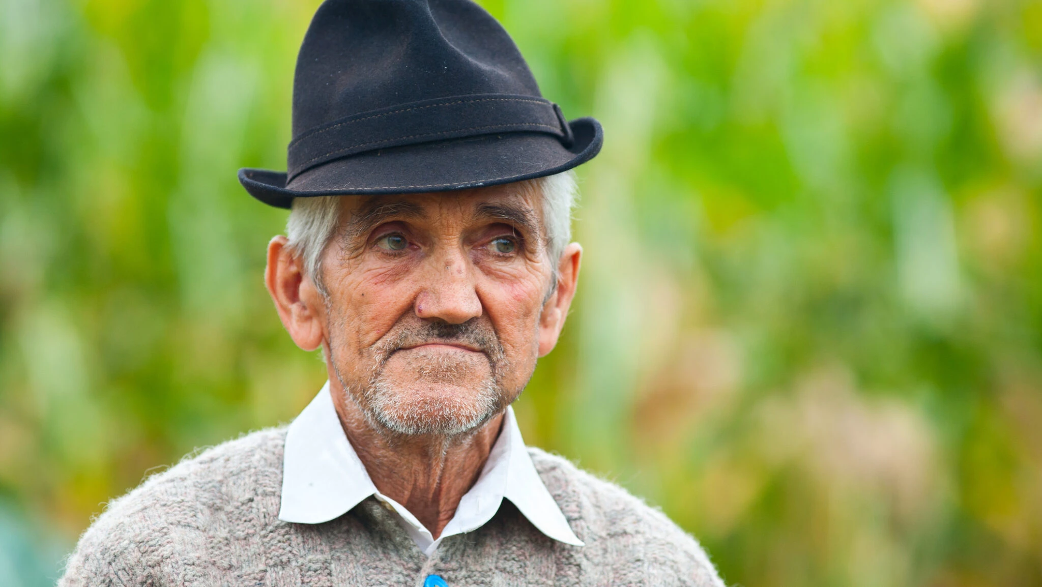 Cum se poate încasa pensia pe card. Ce pași trebuie să urmeze pensionarii