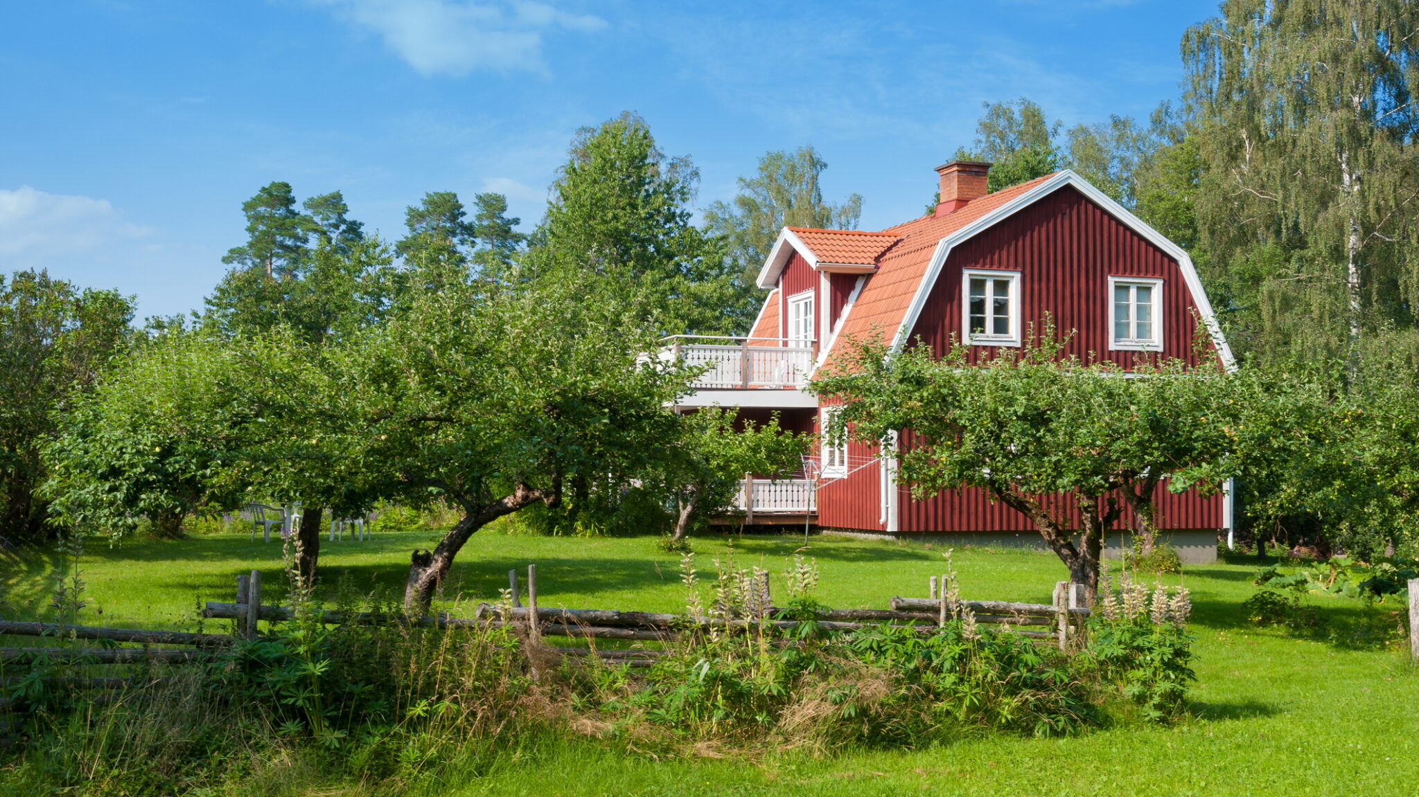 Informație pentru cei care locuiesc la curte. E obligatoriu să faci ...