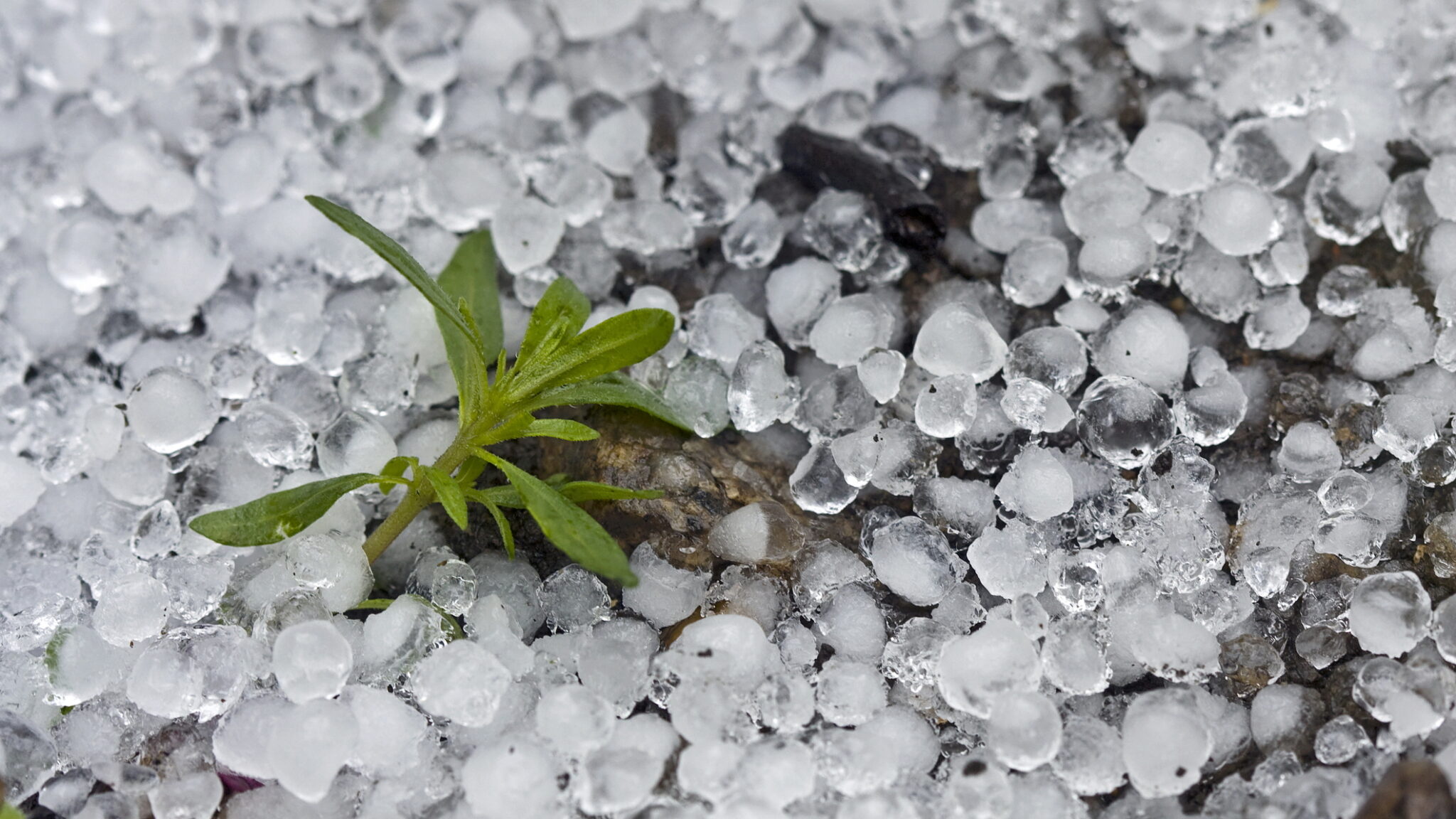 Furtună cu grindină. Avertisment pentru șoferii din România. Numai așa ...