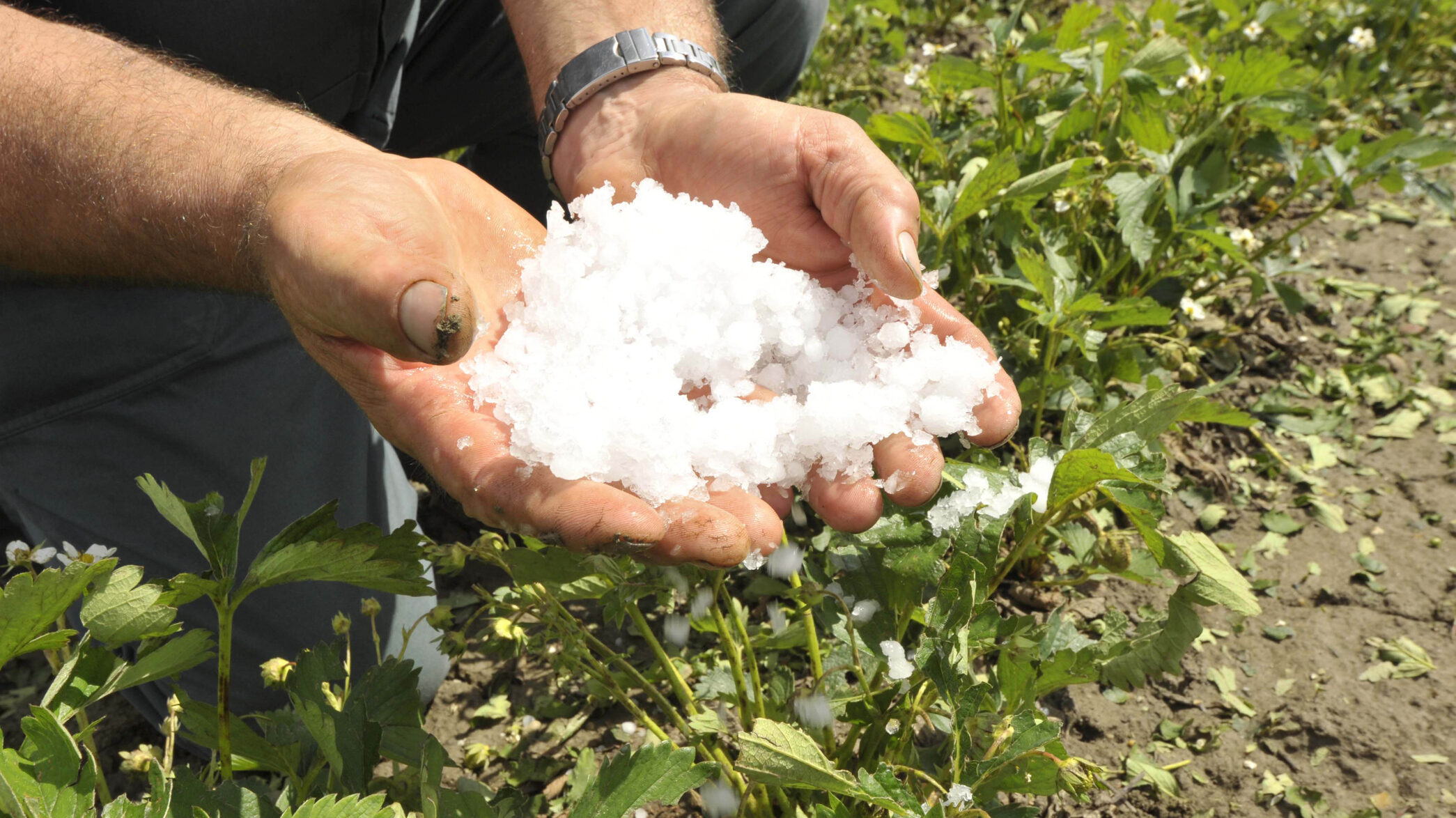 UPDATE Se strică vremea în România! Vijelii și grindină în mai multe ...