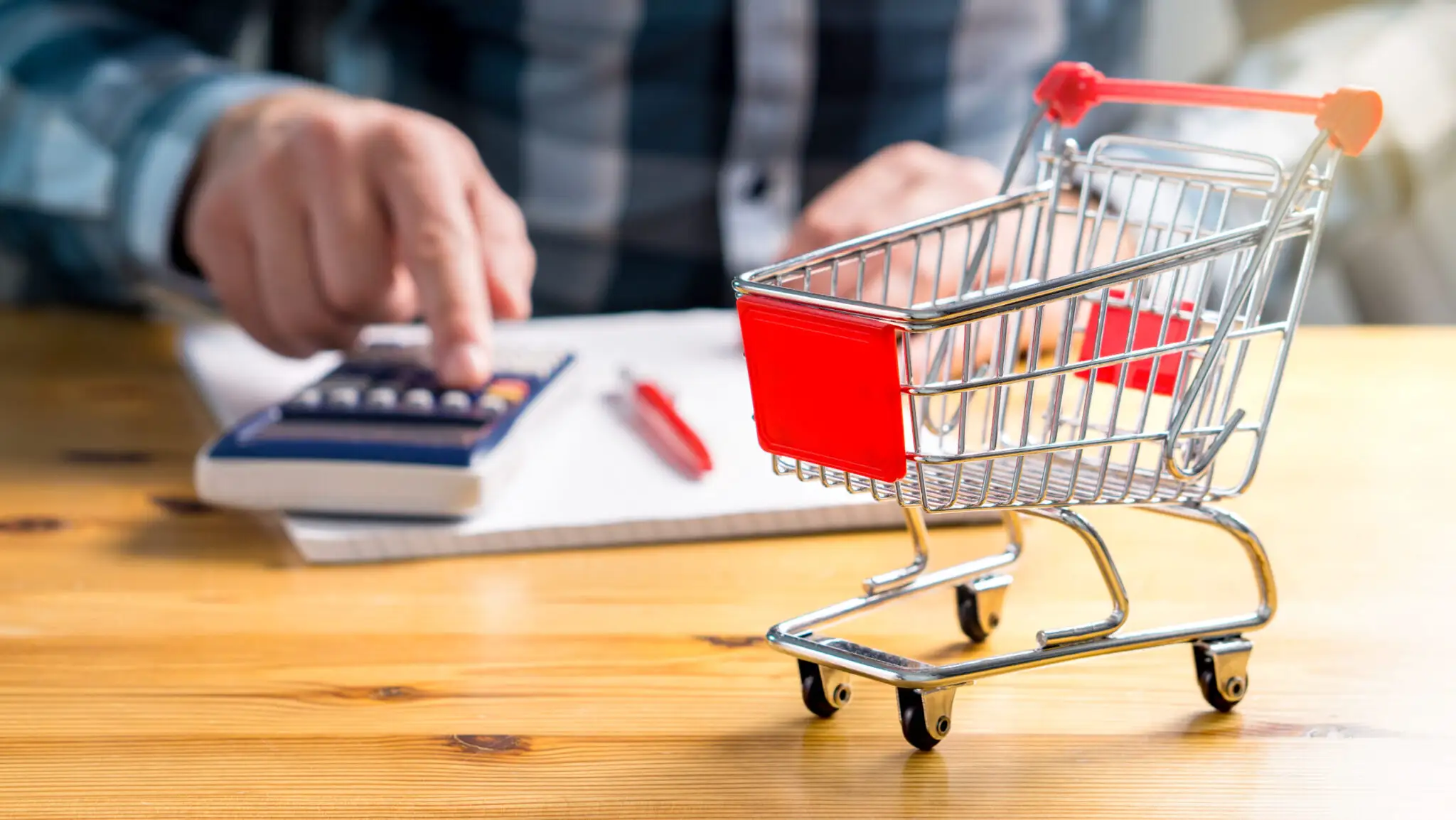 Mugur Isărescu, previziuni pentru economia României. Criza trece în 12 ...