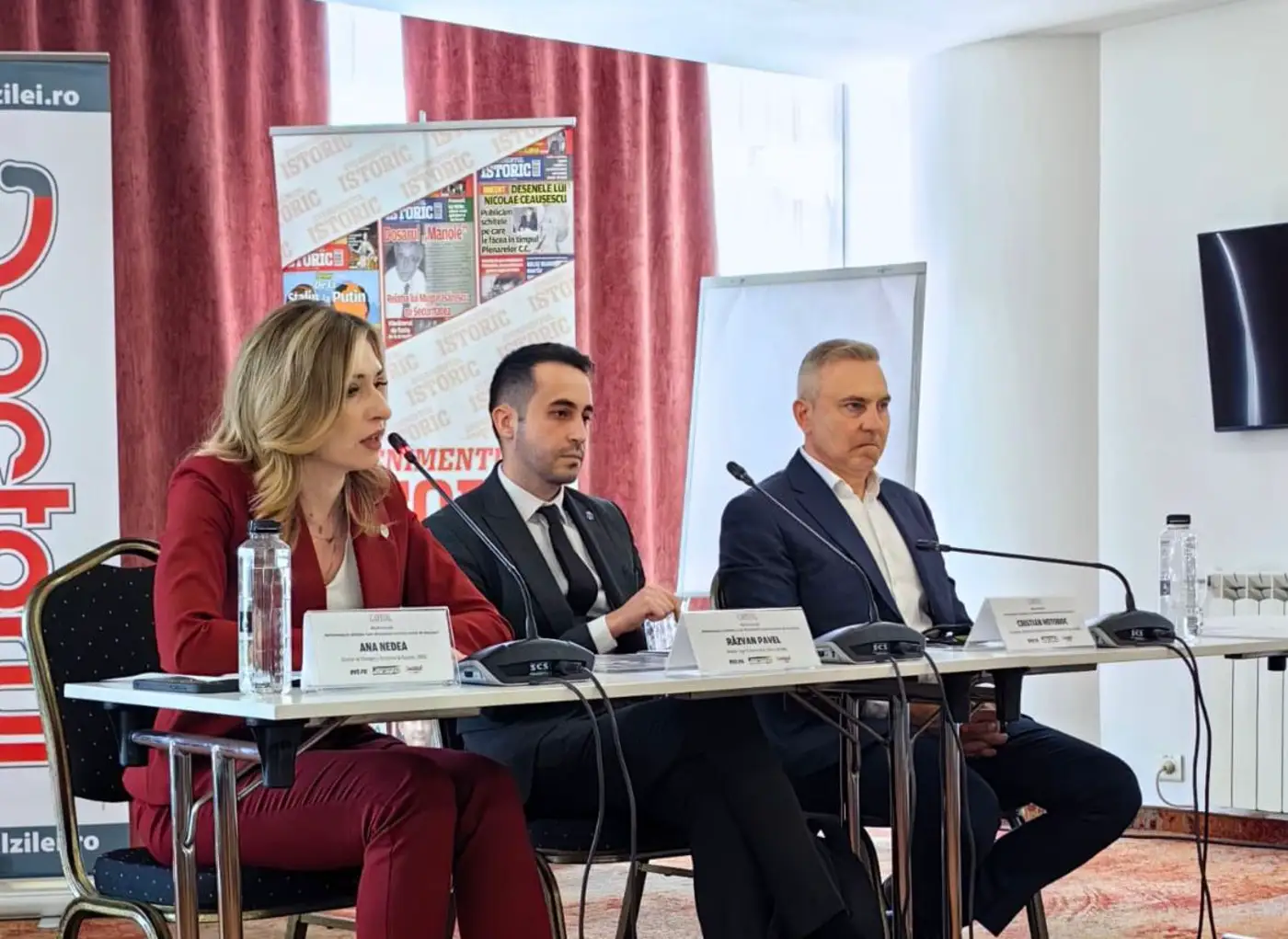 Ana Nedea, Simtel, la Masa Rotundă Capital: „Avem nevoie de un sistem ...