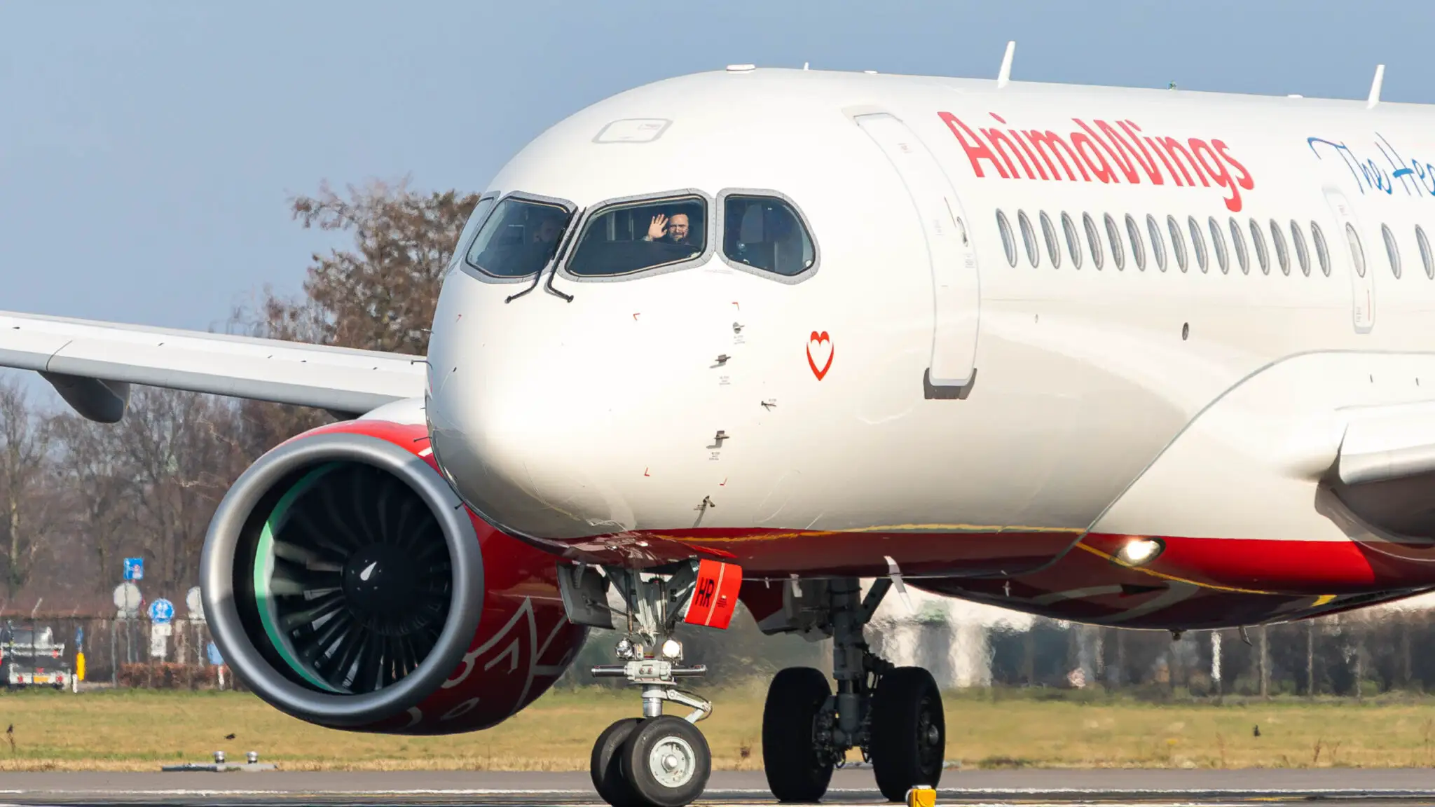 AnimaWings lansează trei rute noi din octombrie 2025. Despre ce ...