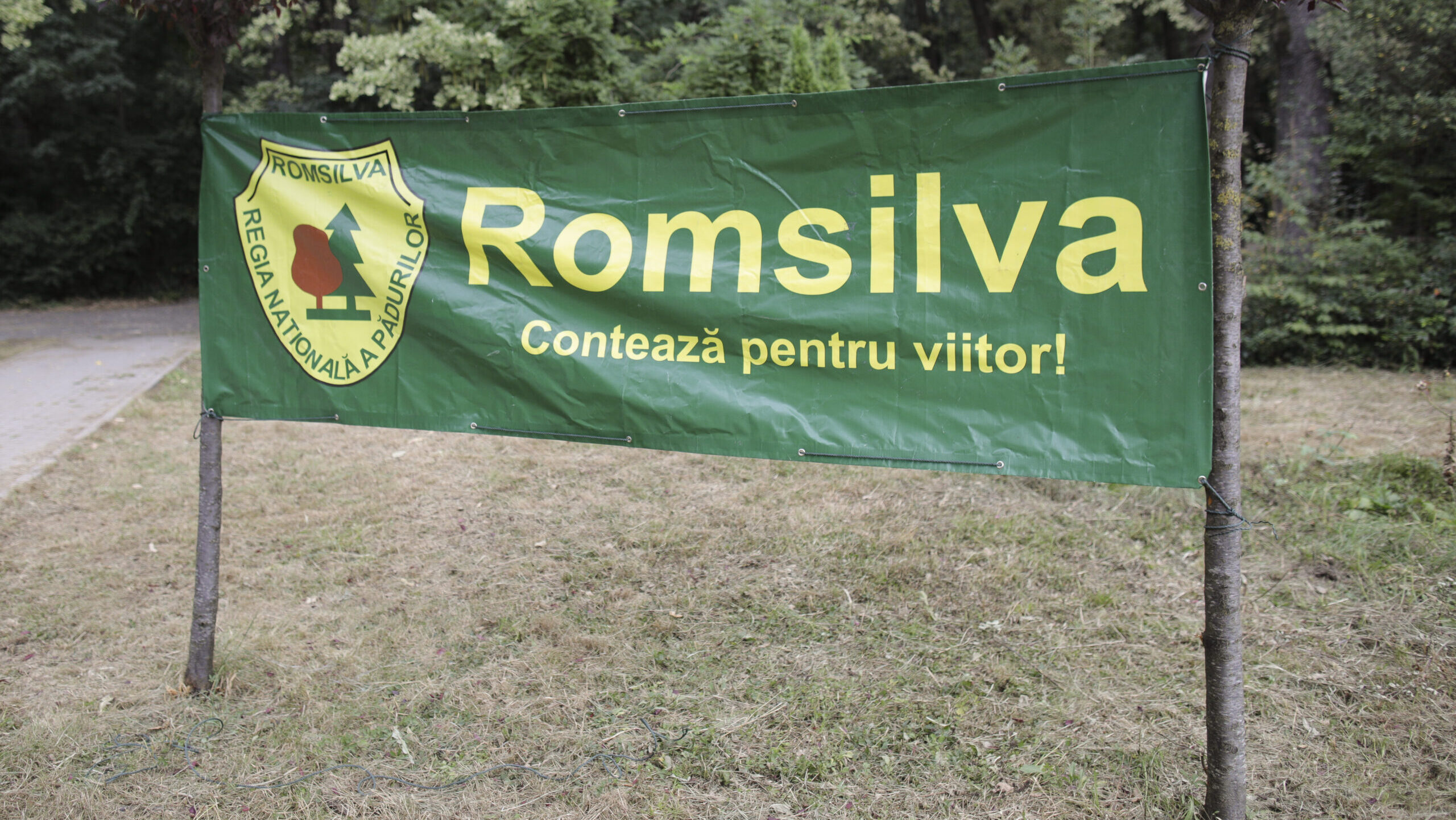 Guvernul schimbă regulile la Romsilva. Reforma stabileşte evaluări ...