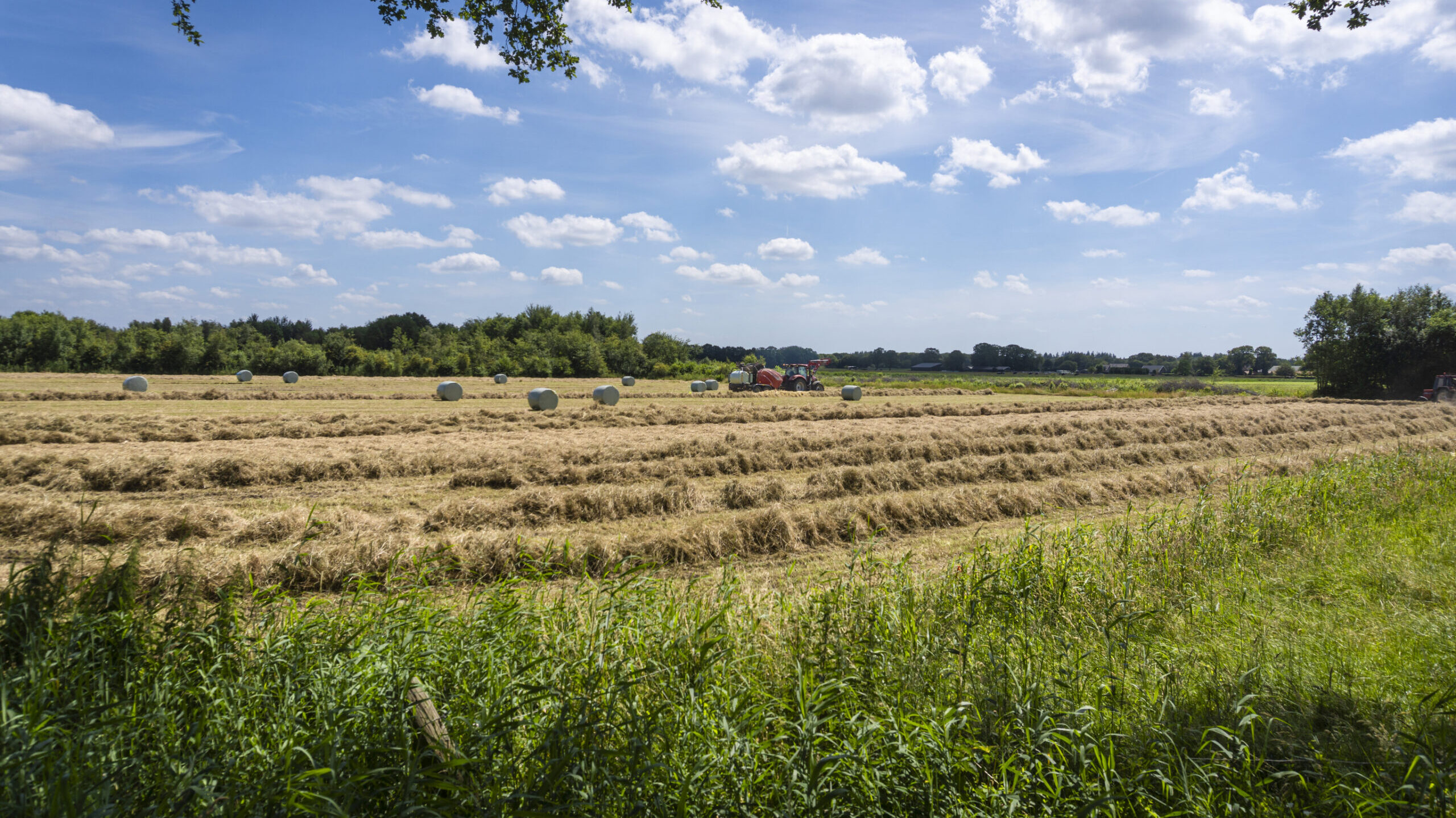 Bani pentru fermieri. Termenul pentru modificarea cererilor APIA a fost ...