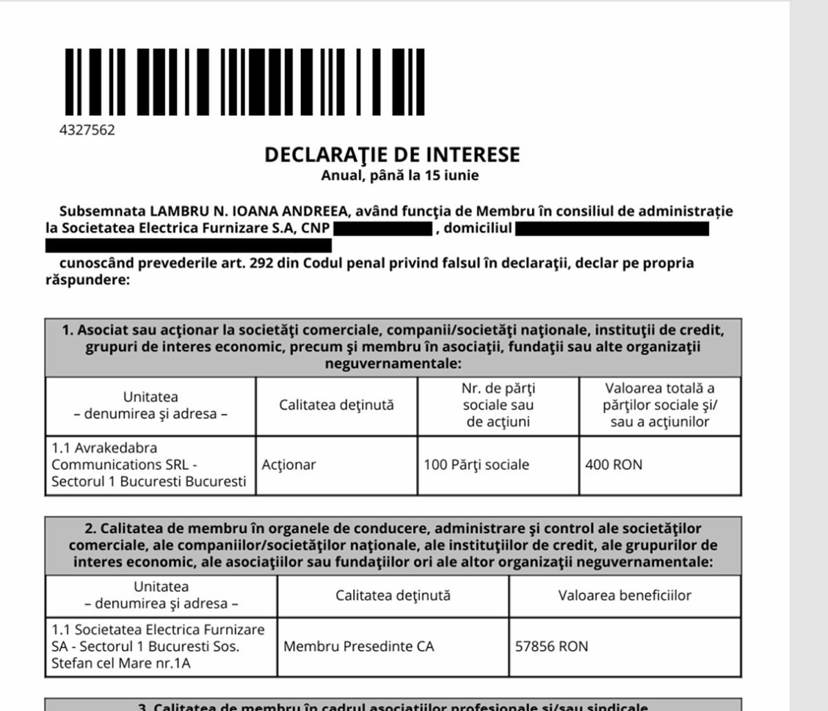 Andreea Lambru, director la Electrica S.A, acuzată că a omis firme din ...