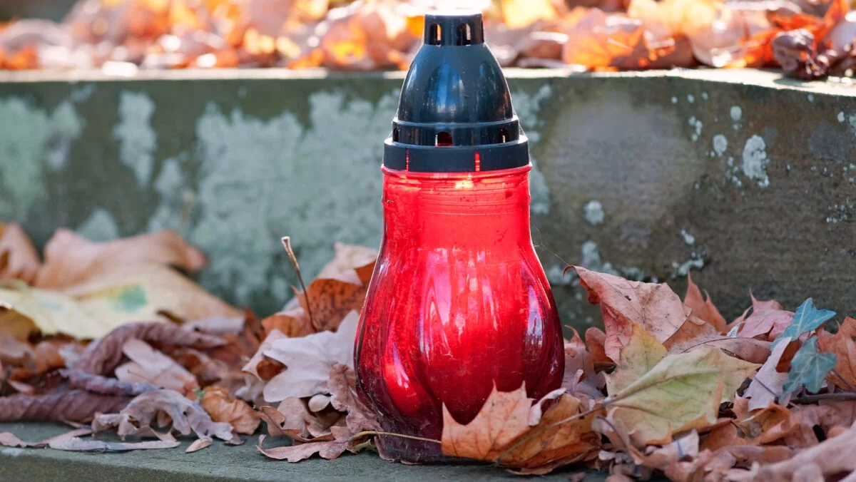 A murit Radu F. Alexandru. Este zi de doliu național: Cultura română ...