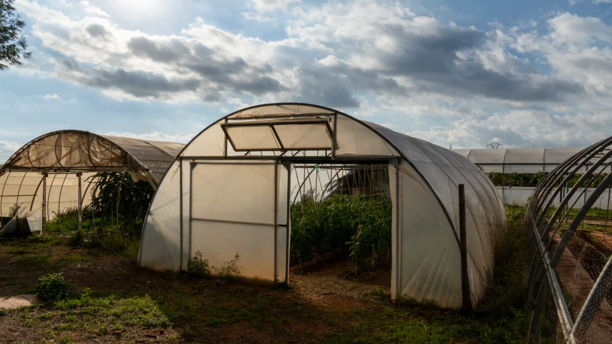 Impozit pentru românii cu solarii și sere în curte sau pe teren. Vor fi ...