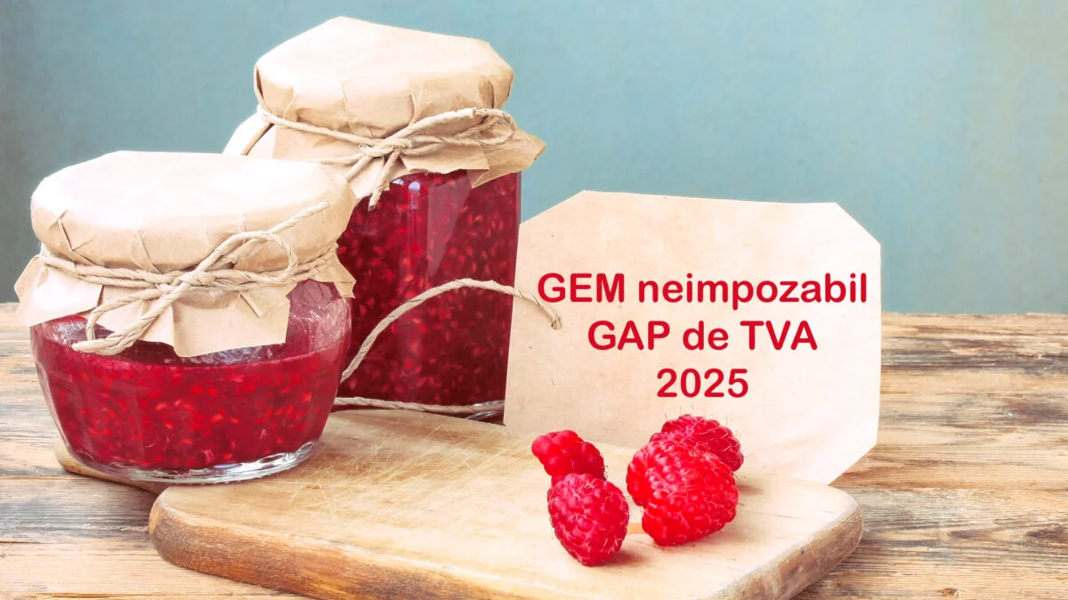 Șeful ANAF, despre controversa cu „gap-ul de TVA”: Nu am fost niciodată ...