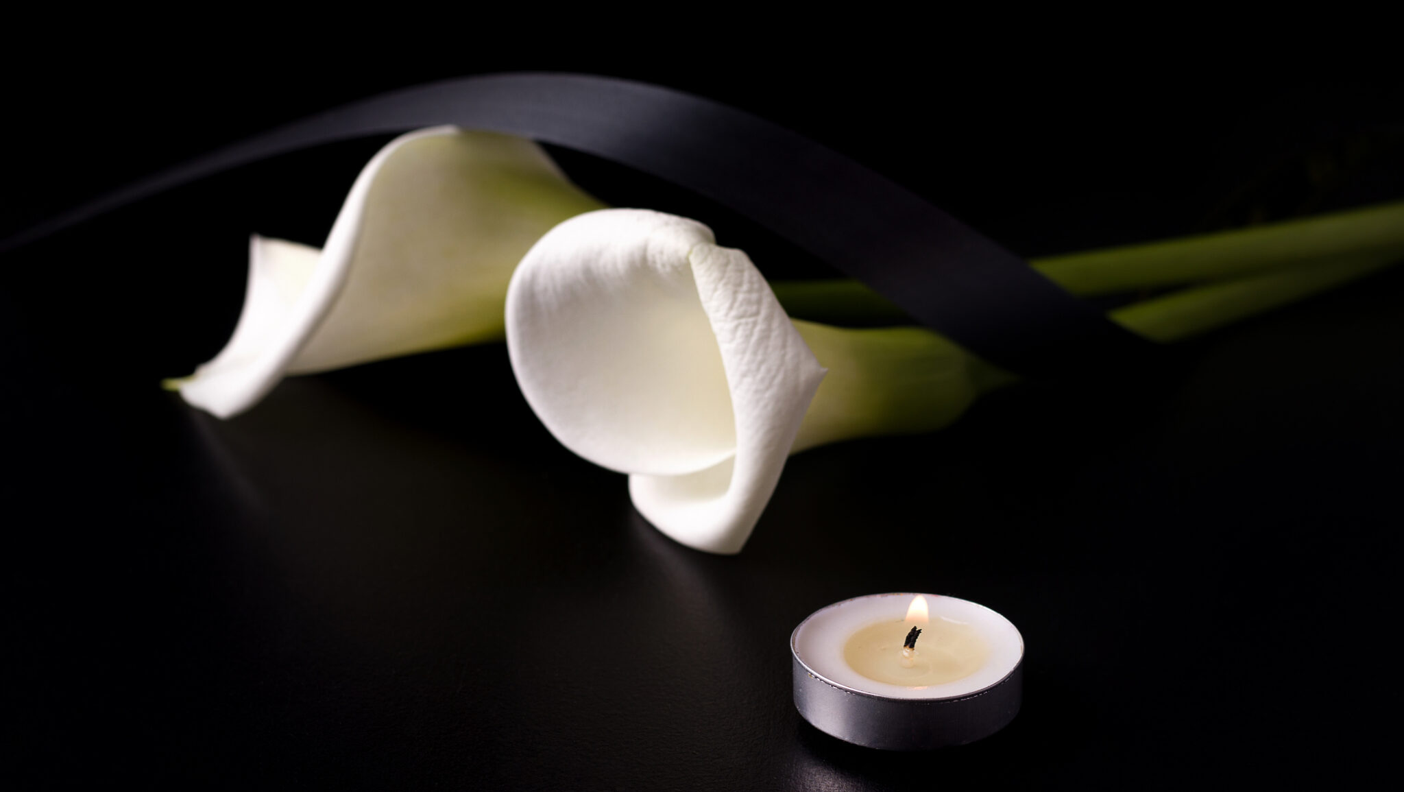 Doliu în lumea literaturii. A plecat la îngeri o mare scriitoare. Ne va ...